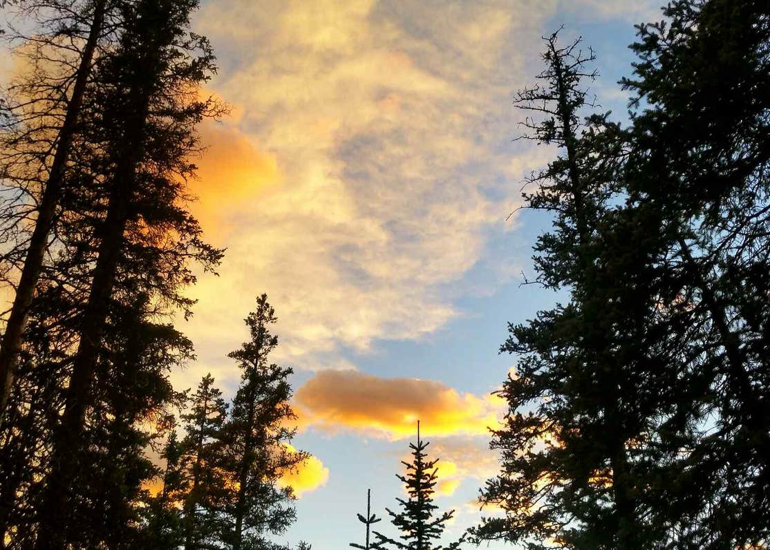 Little Molas Lake Campground Camping | The Dyrt