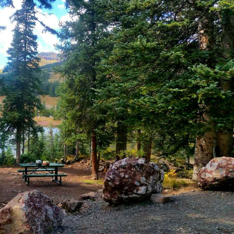 Little Molas Lake Campground Camping | The Dyrt
