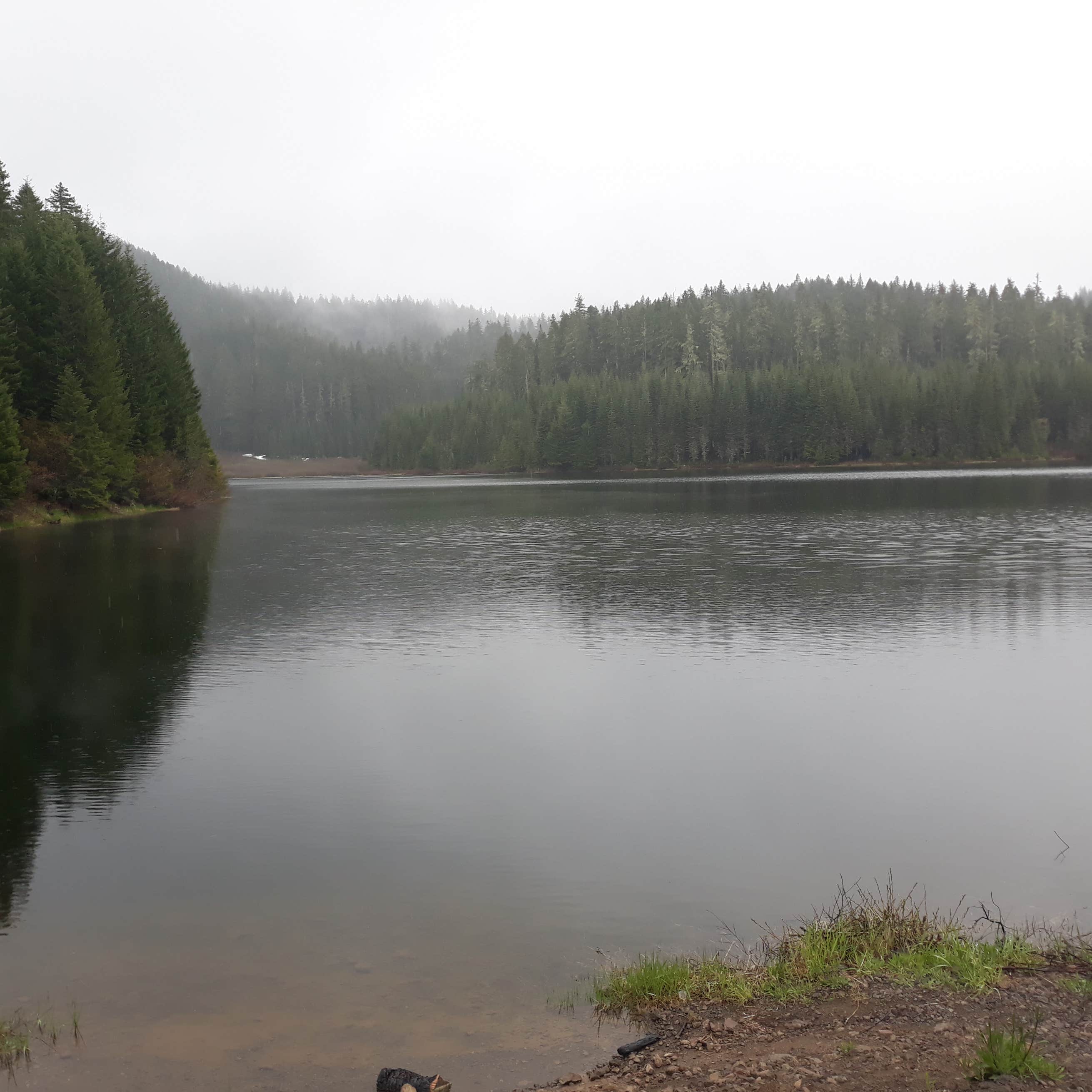 Hemlock Lake Camping | Umpqua National Forest, Oregon