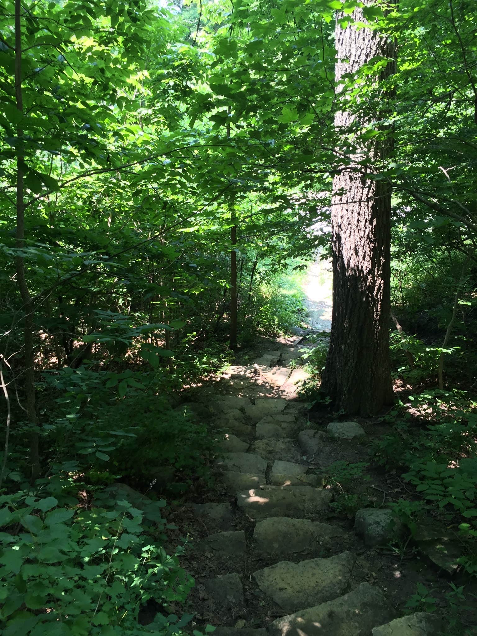 Ledges State Park Campground | Boone, Iowa