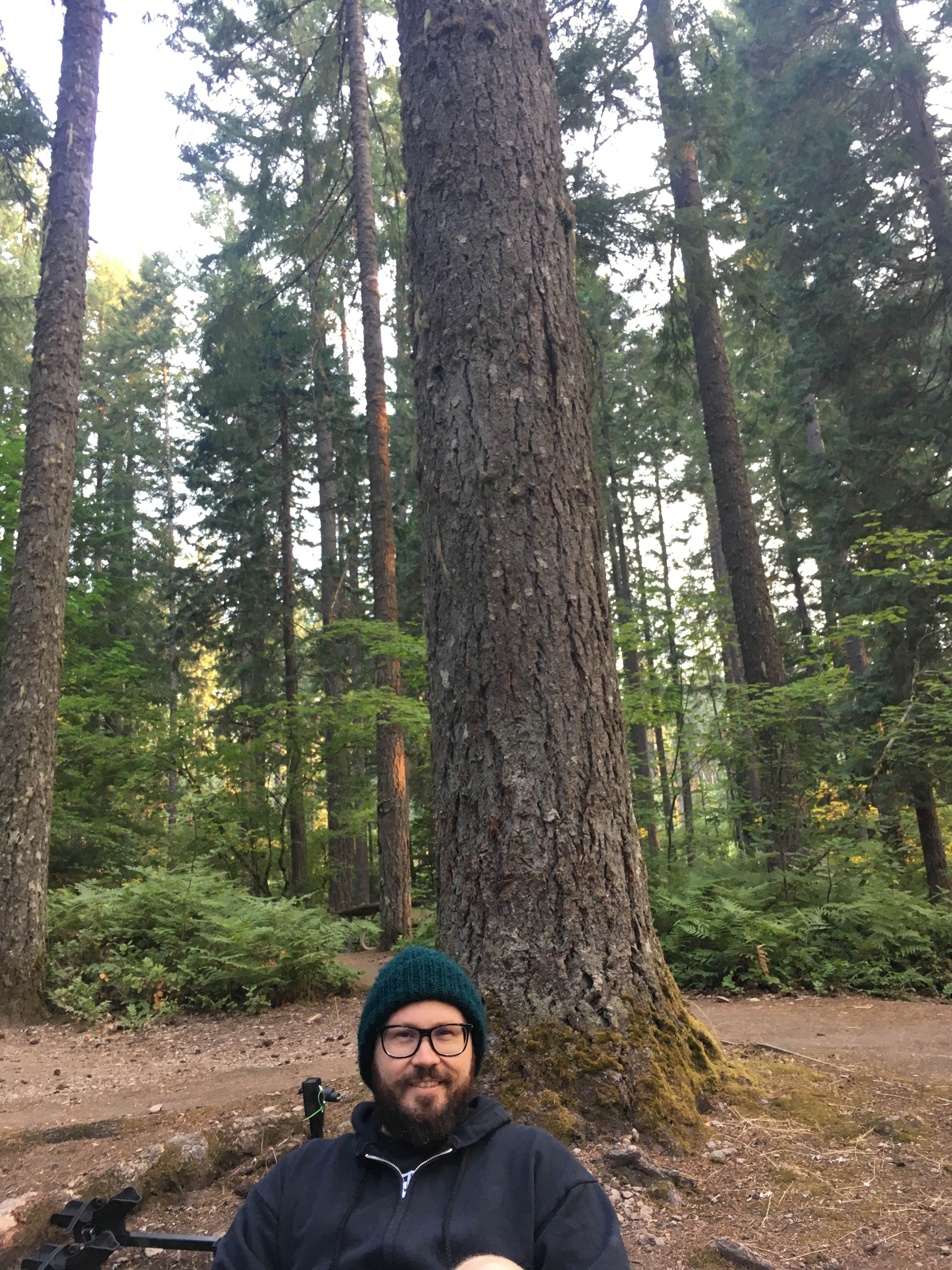 Detroit Lake State Recreation Area Camping | Detroit, OR