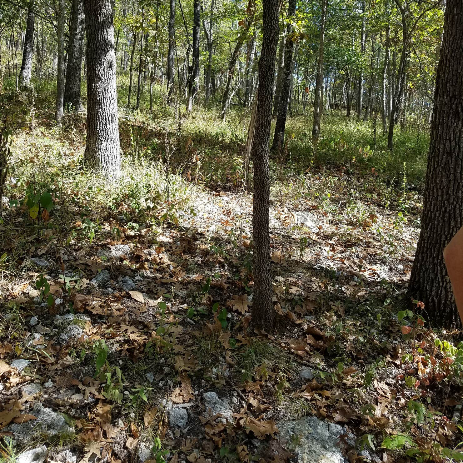 Meramec State Park Camping | The Dyrt