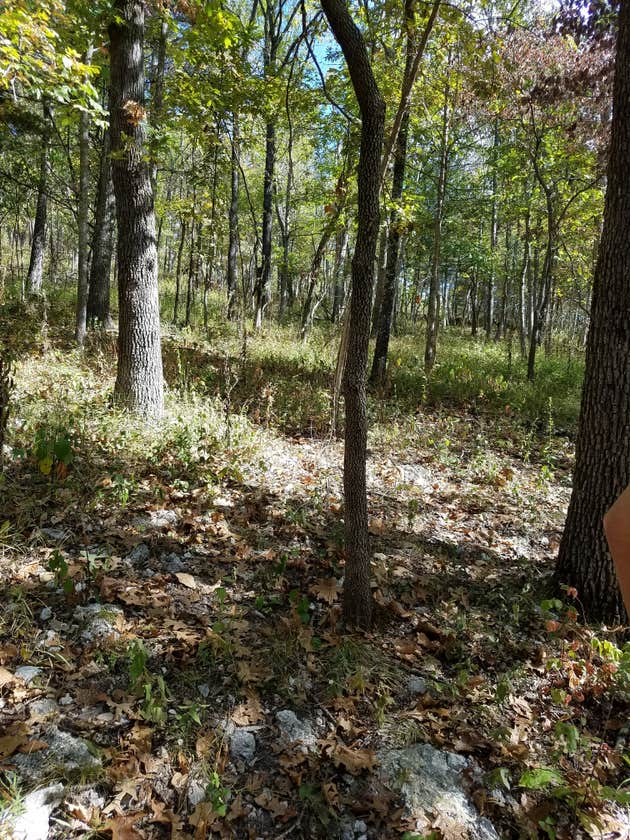 Meramec State Park Camping | The Dyrt