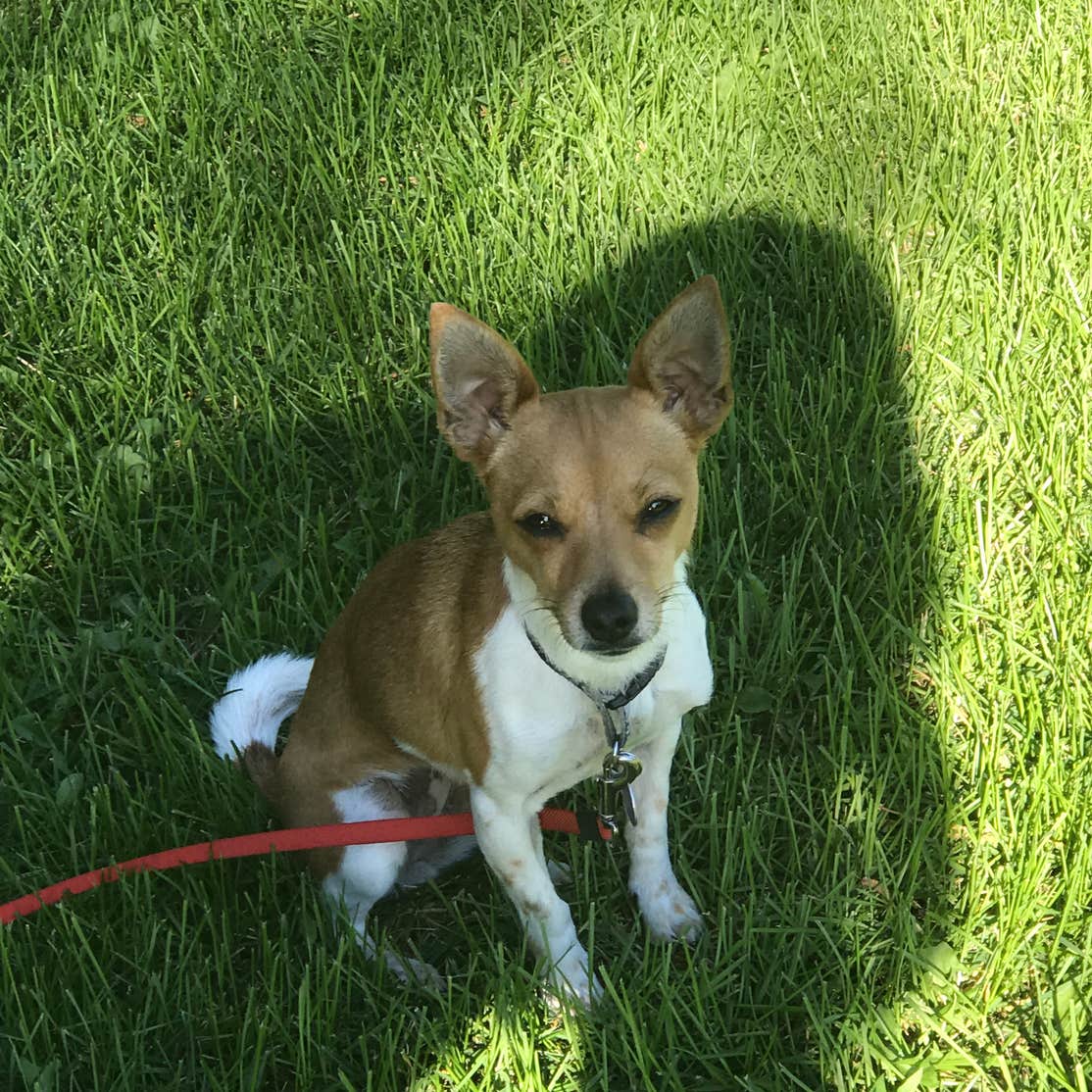 Conconully State Park Campground | Conconully, WA