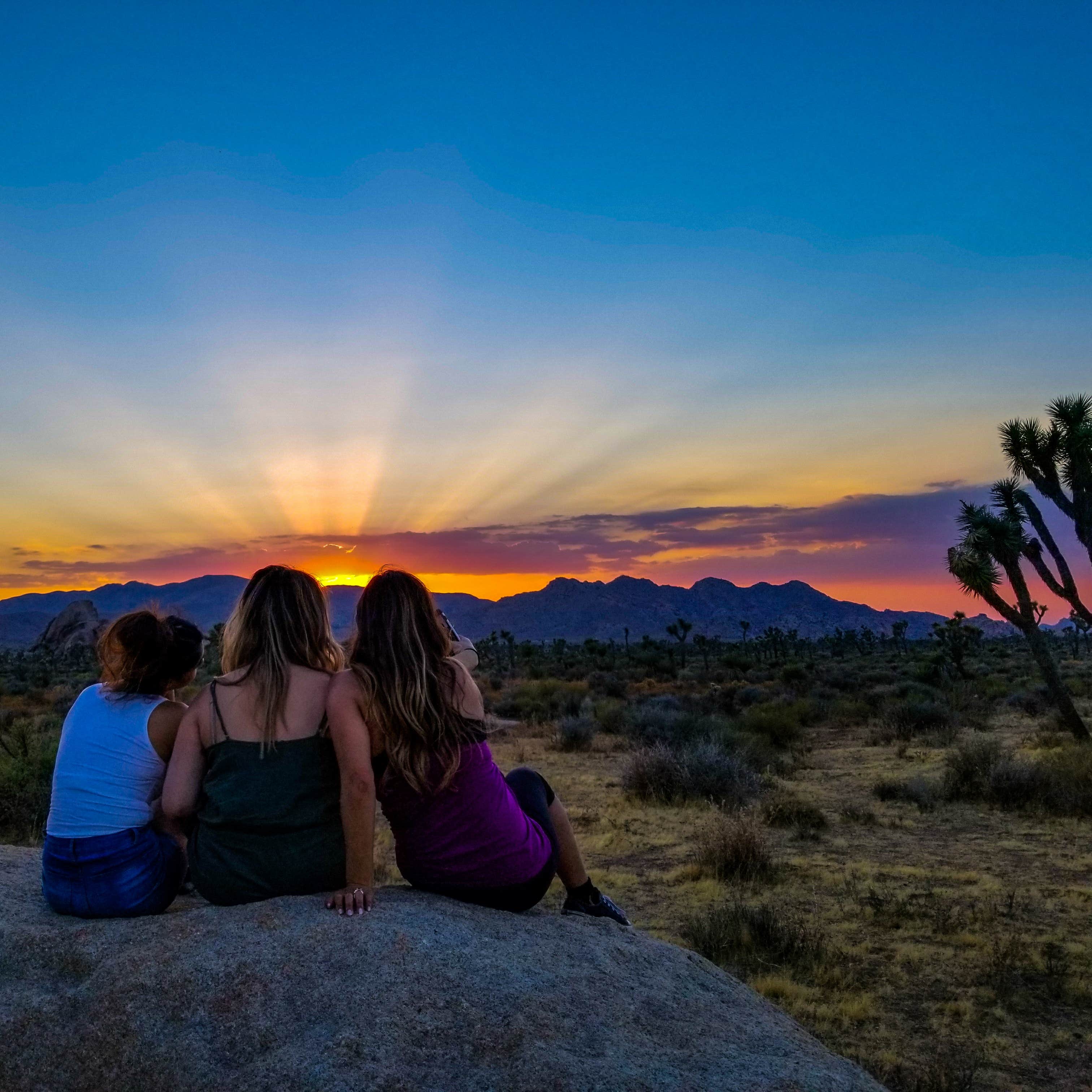 Joshua Tree National Park Camping Guide