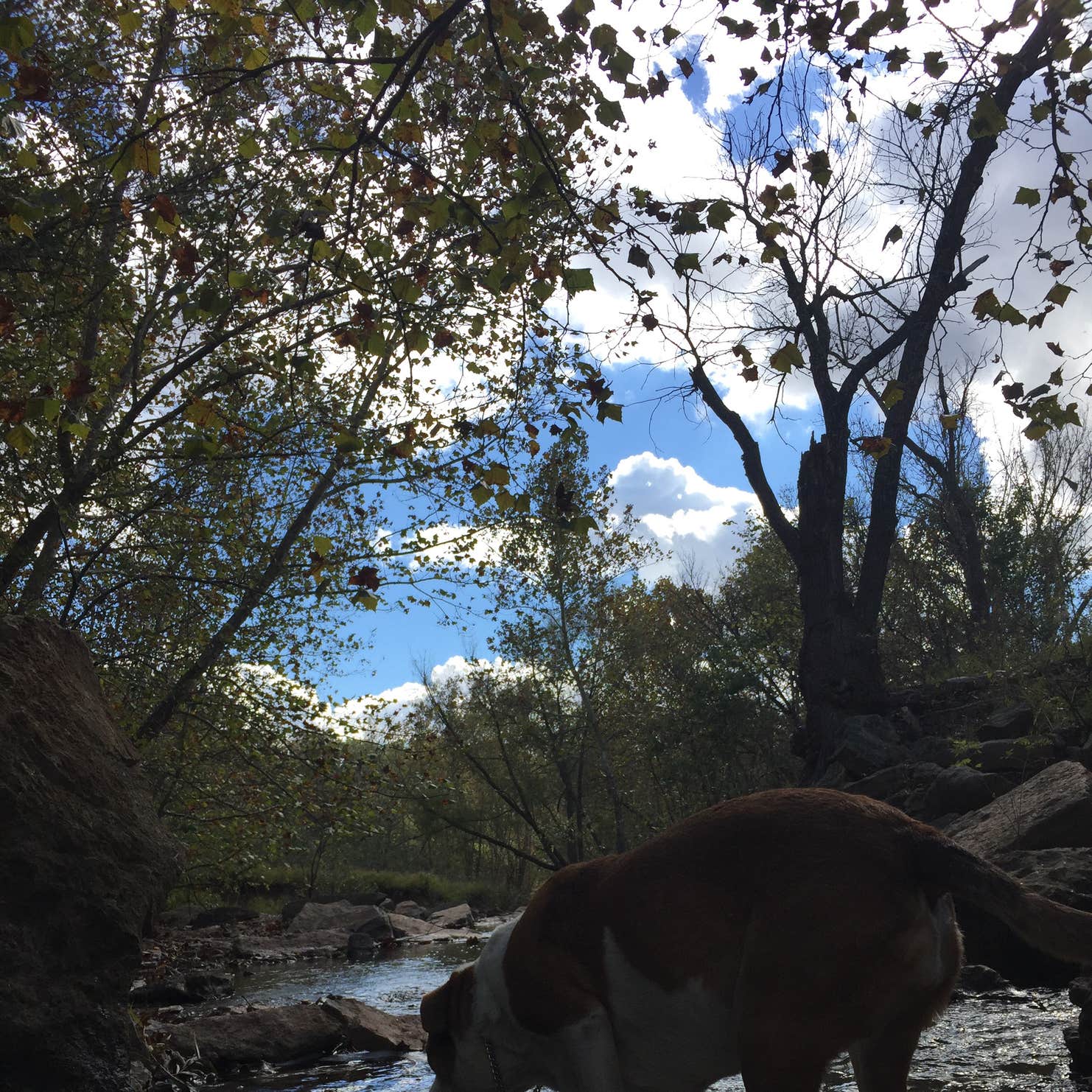 Wellington Lake East Rec Area Camping | Haysville, Kansas