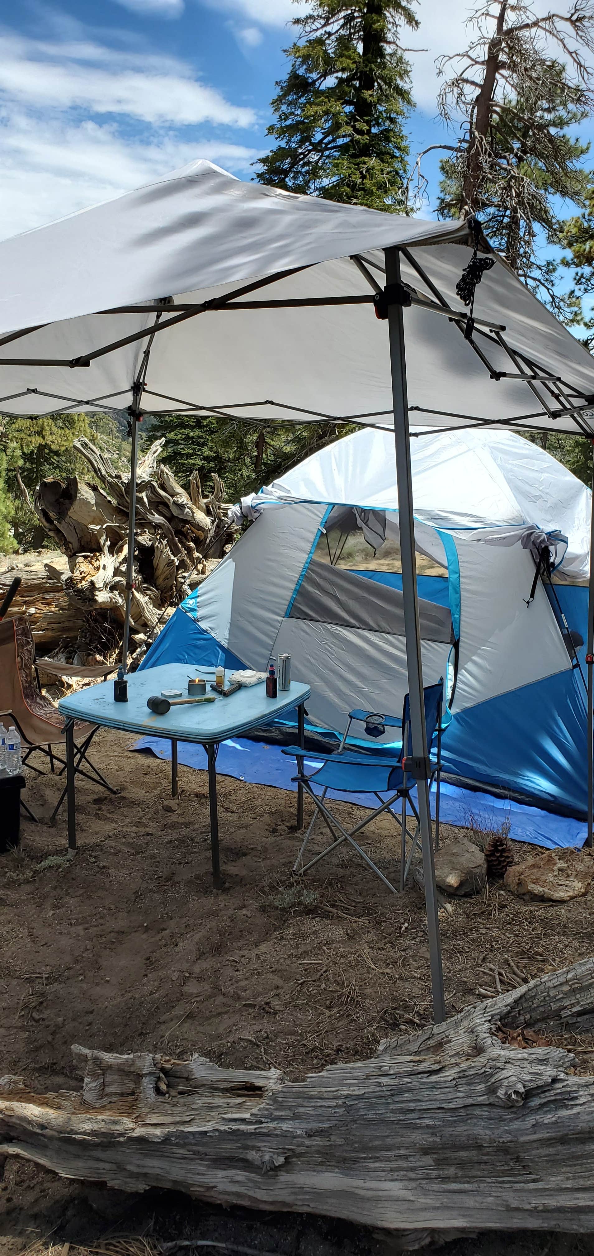 Santa Rosa Yellow Post Sites Camping | Palm Desert, CA