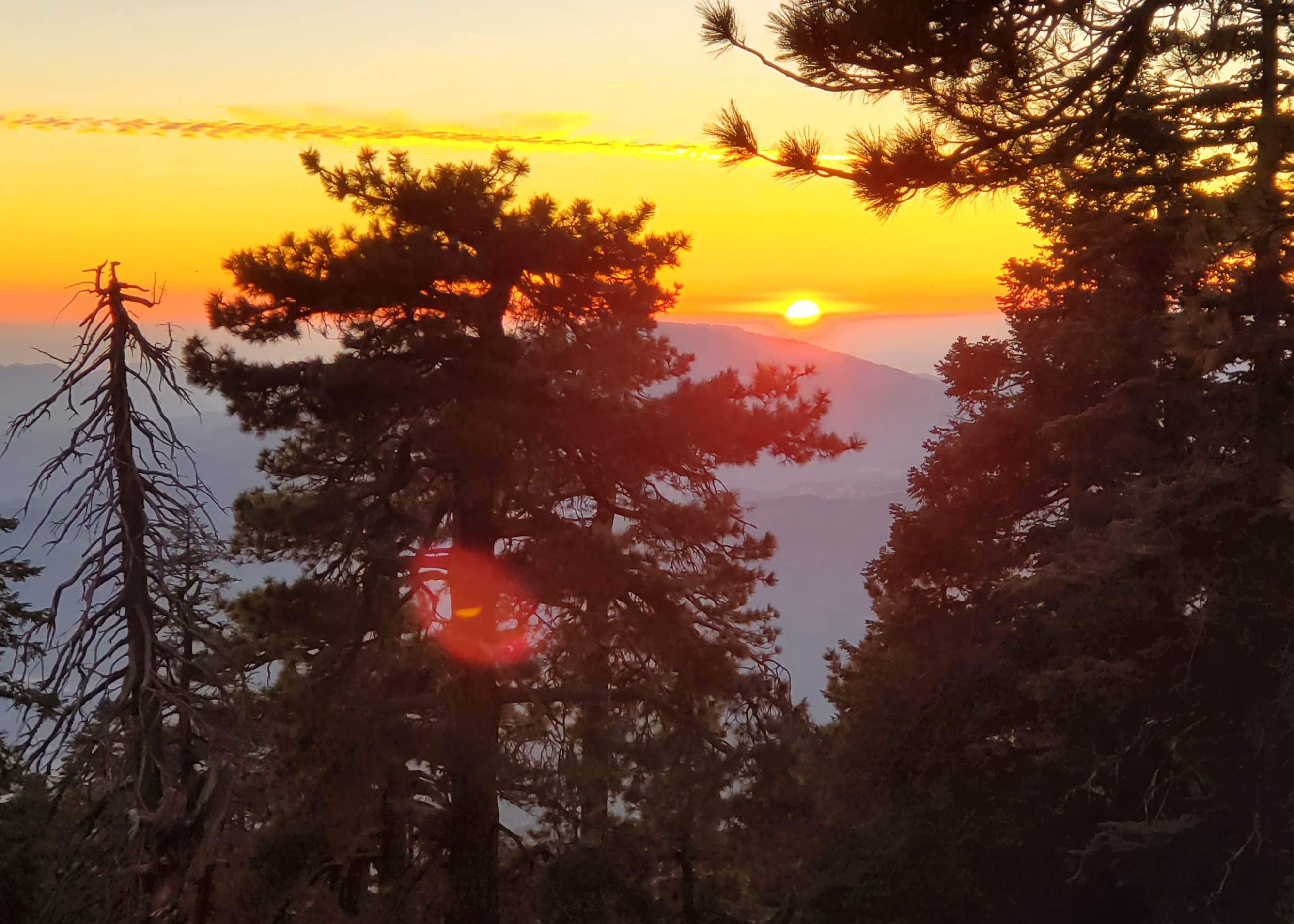 Santa Rosa Yellow Post Sites Camping | The Dyrt