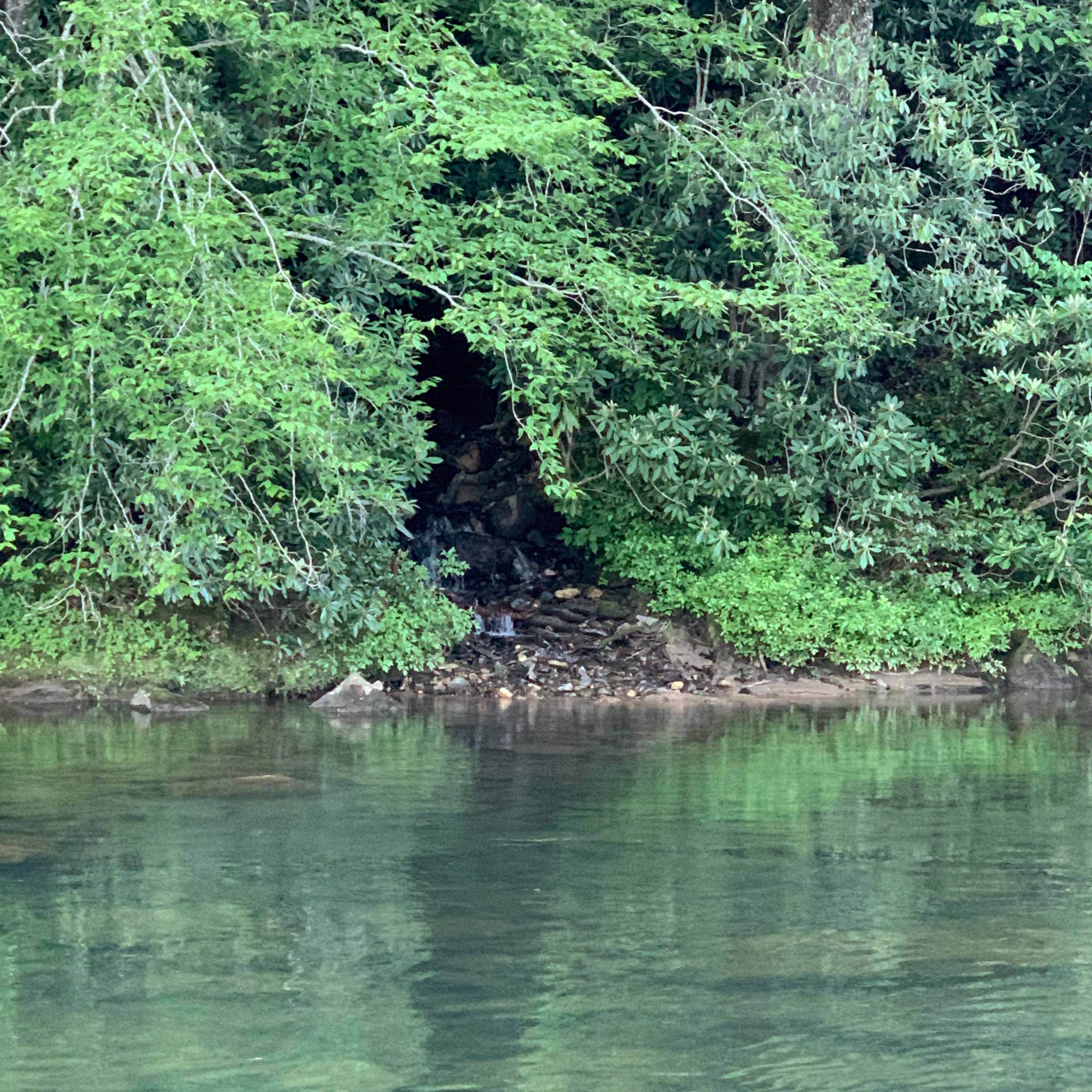 Toe River Campground Camping | The Dyrt