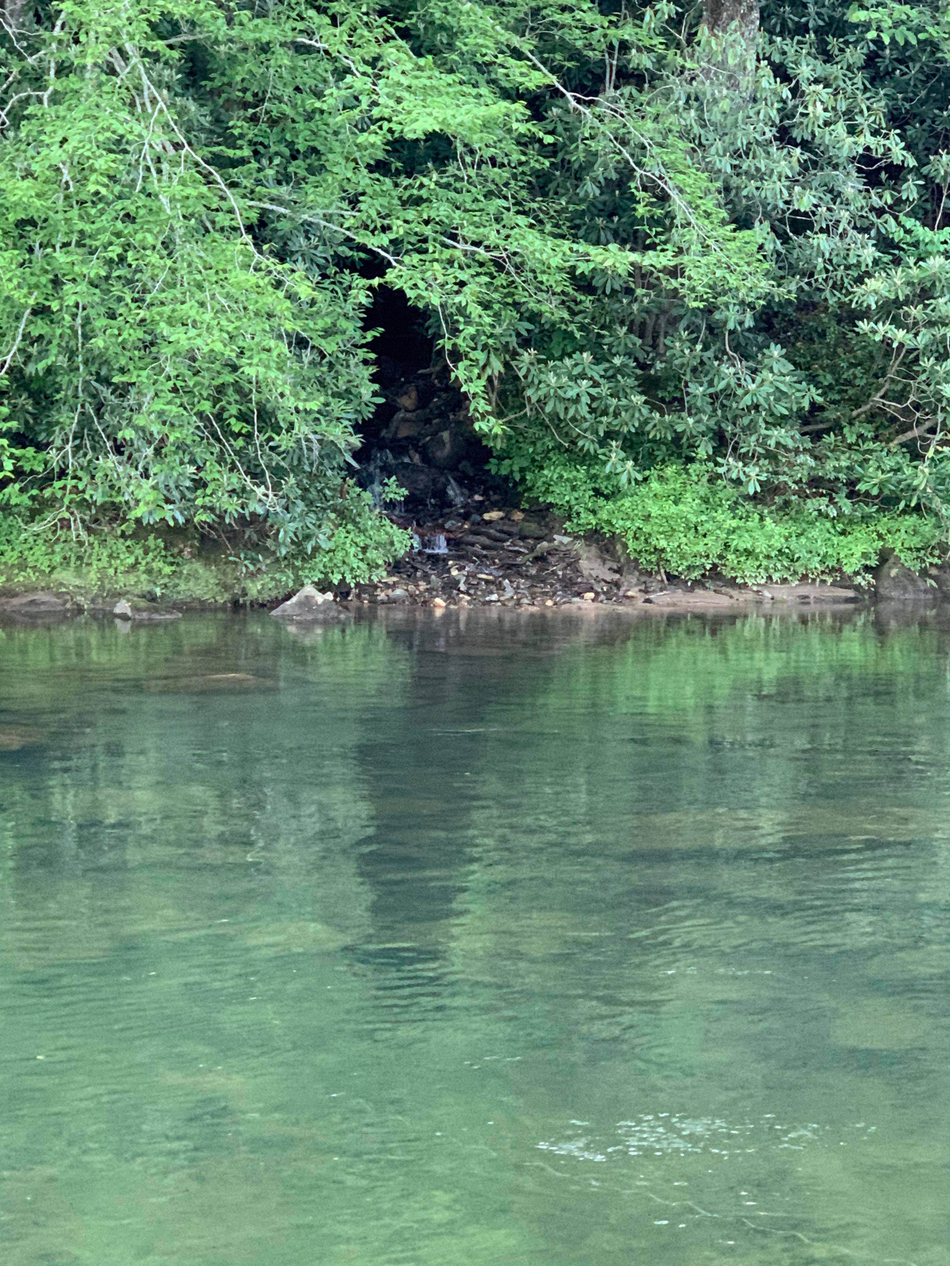 Toe River Campground | Burnsville, NC