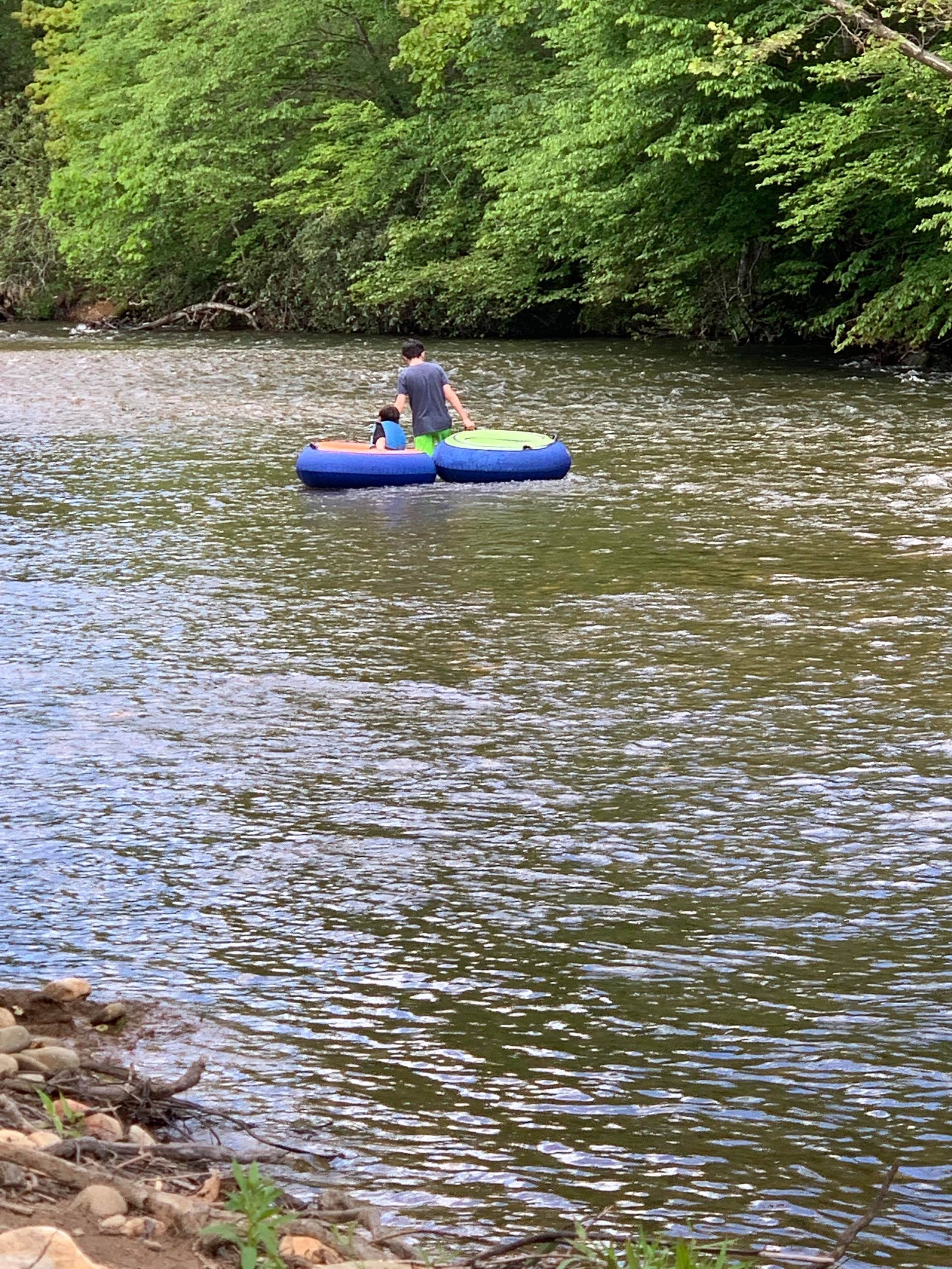 Toe River Campground | The Dyrt