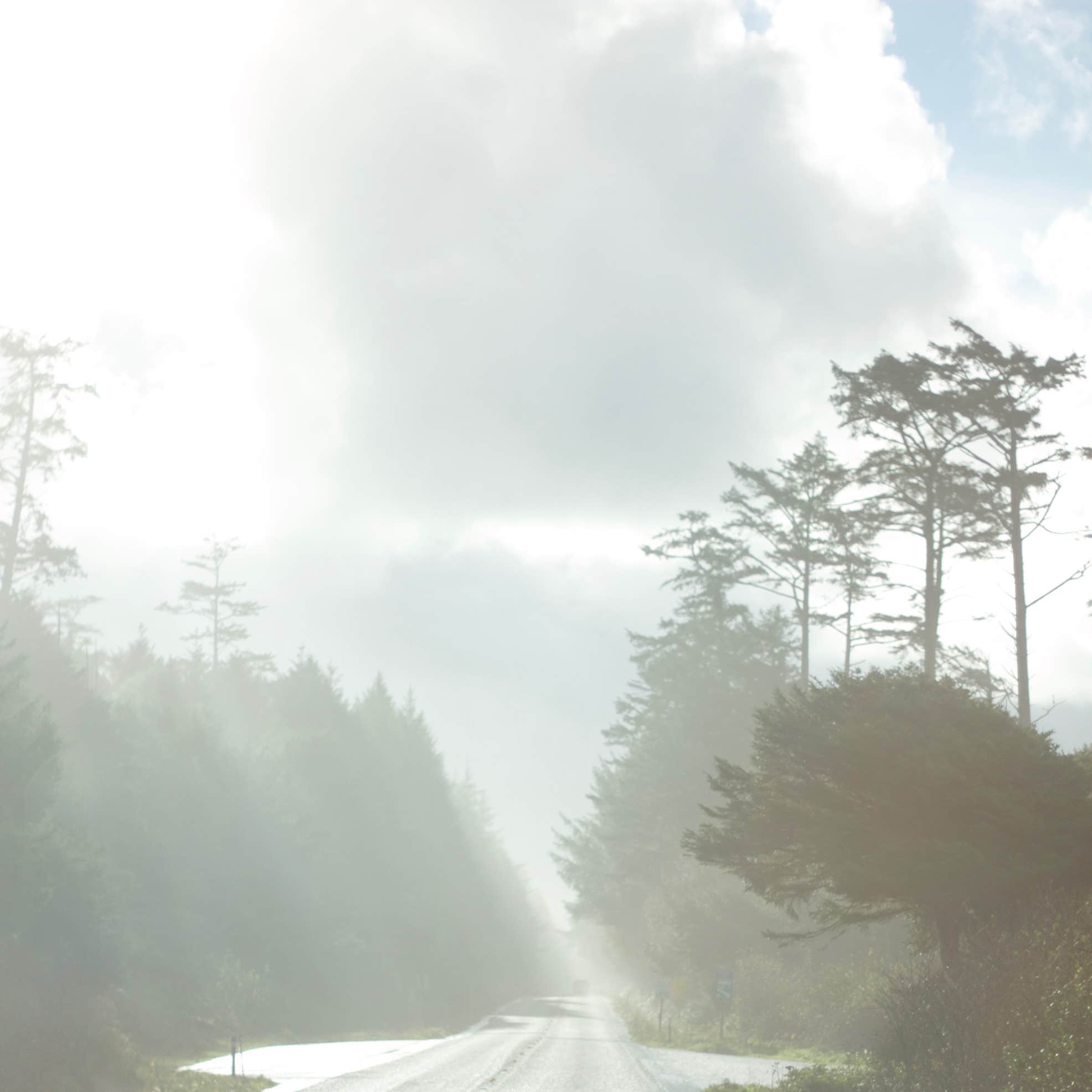 Strawberry Point Camping Camping | The Dyrt