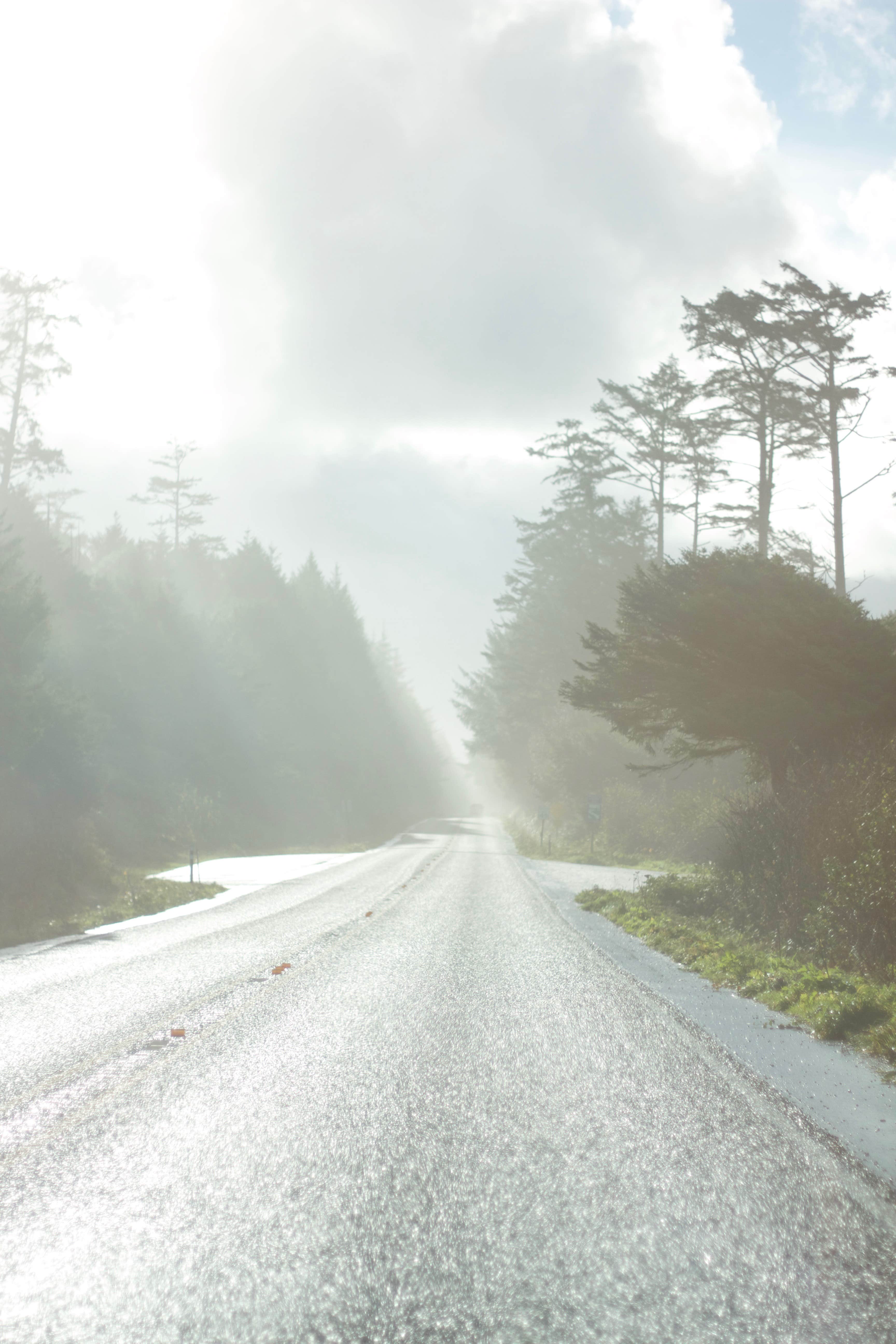 Strawberry Point Camping — Olympic National Park | La Push, WA