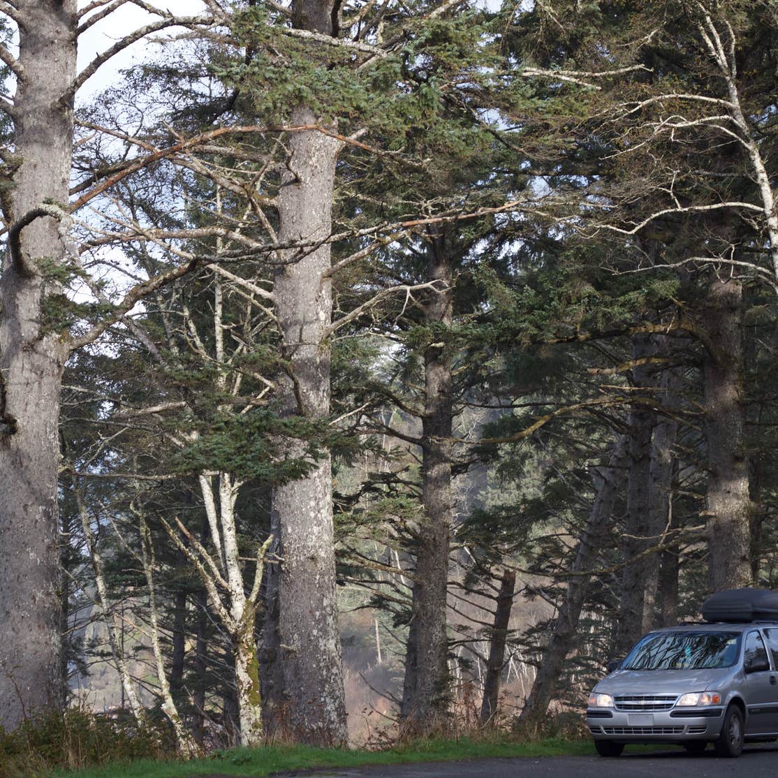 Strawberry Point Camping — Olympic National Park | La Push, Washington