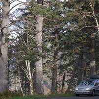 Strawberry Point Camping — Olympic National Park | La Push, Washington