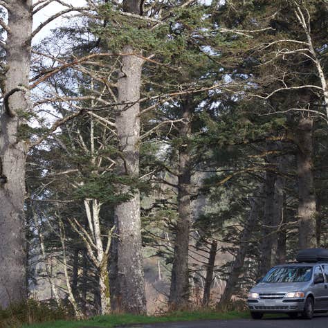 Strawberry Point Camping — Olympic National Park | La Push, Washington