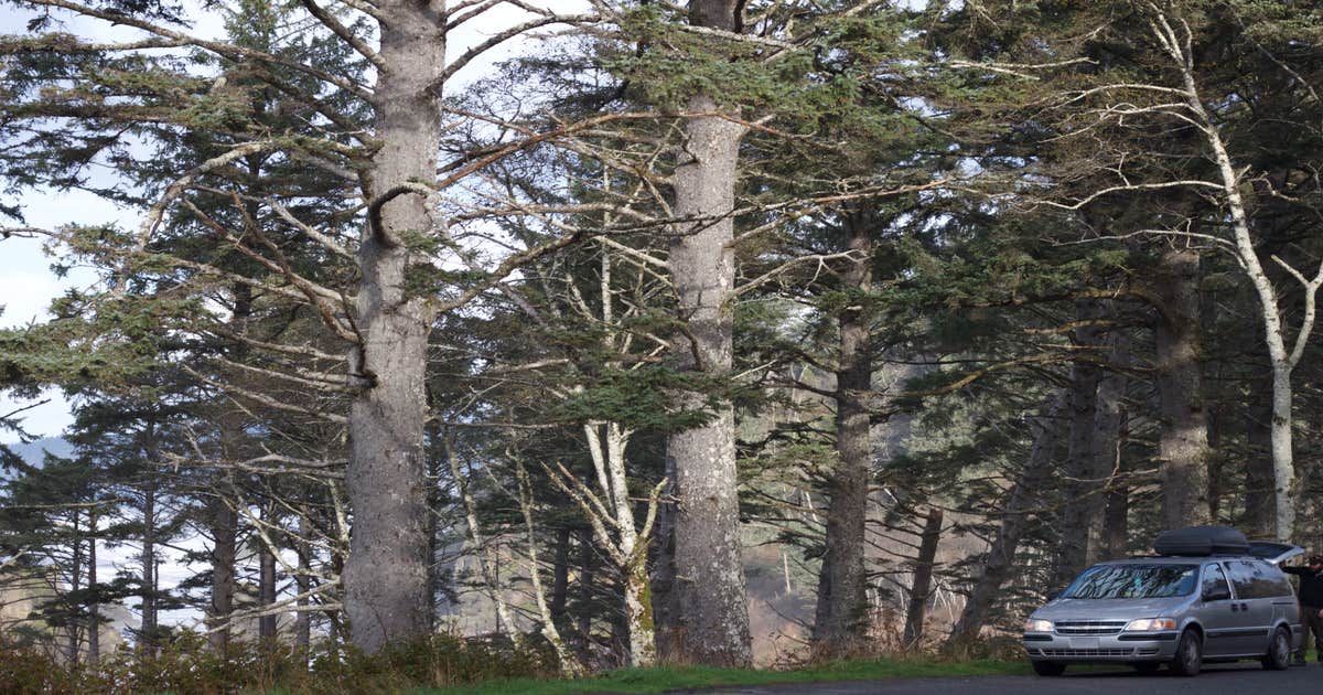 Strawberry Point Camping — Olympic National Park | La Push, Washington