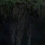 Strawberry Point Camping — Olympic National Park | La Push, Washington