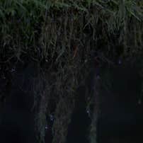 Strawberry Point Camping — Olympic National Park | La Push, Washington