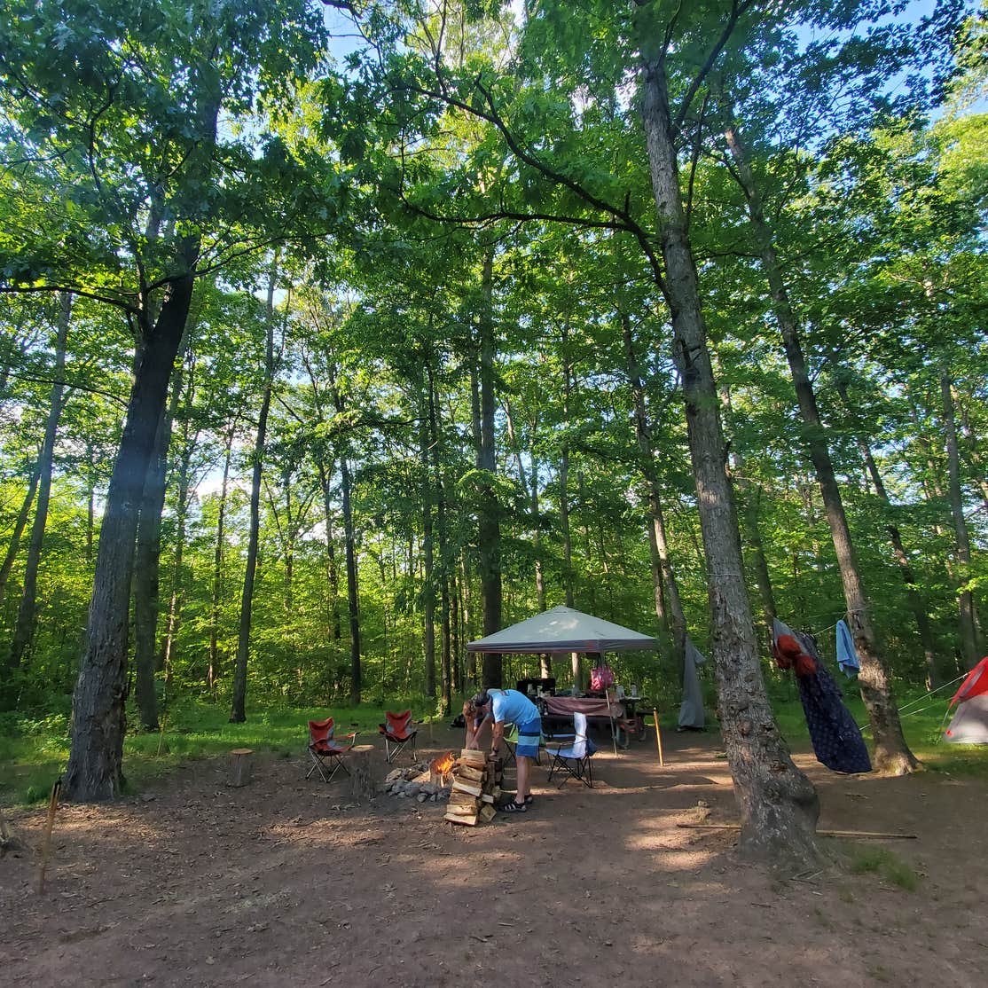 Green Ridge State Forest Camping | The Dyrt