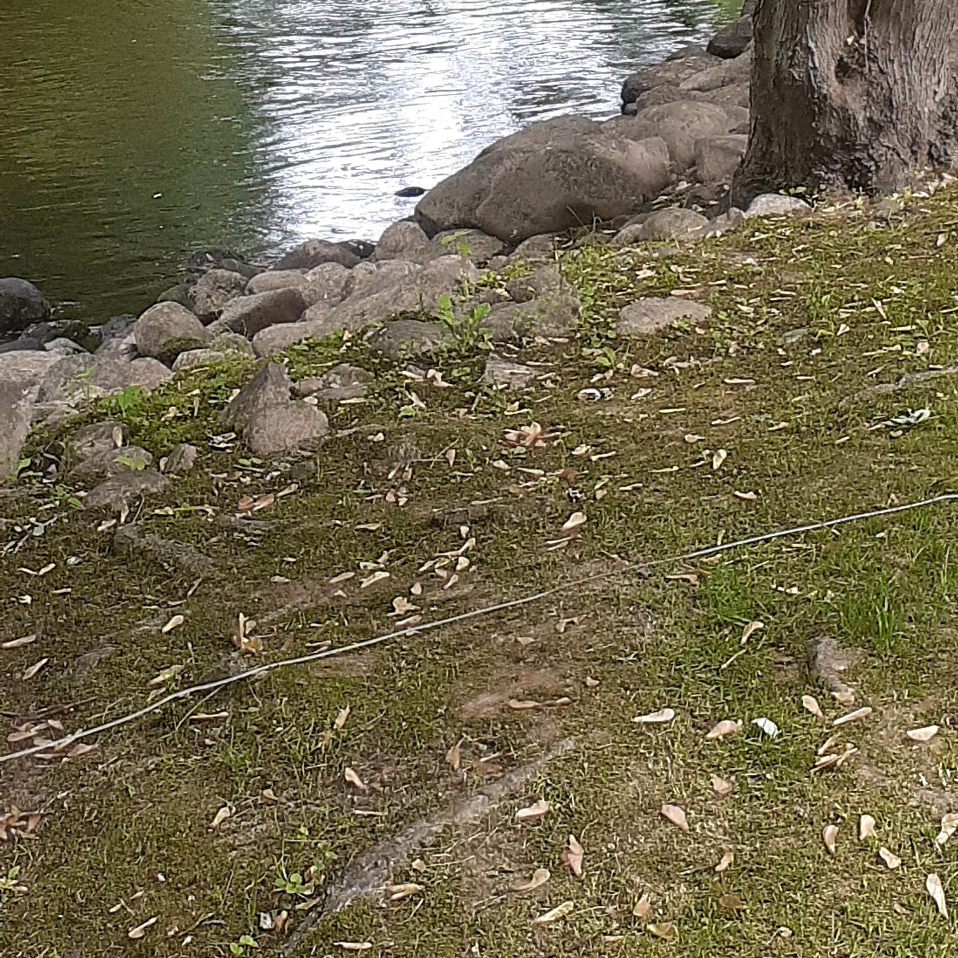 Two Rivers Campground | Royalton, Minnesota