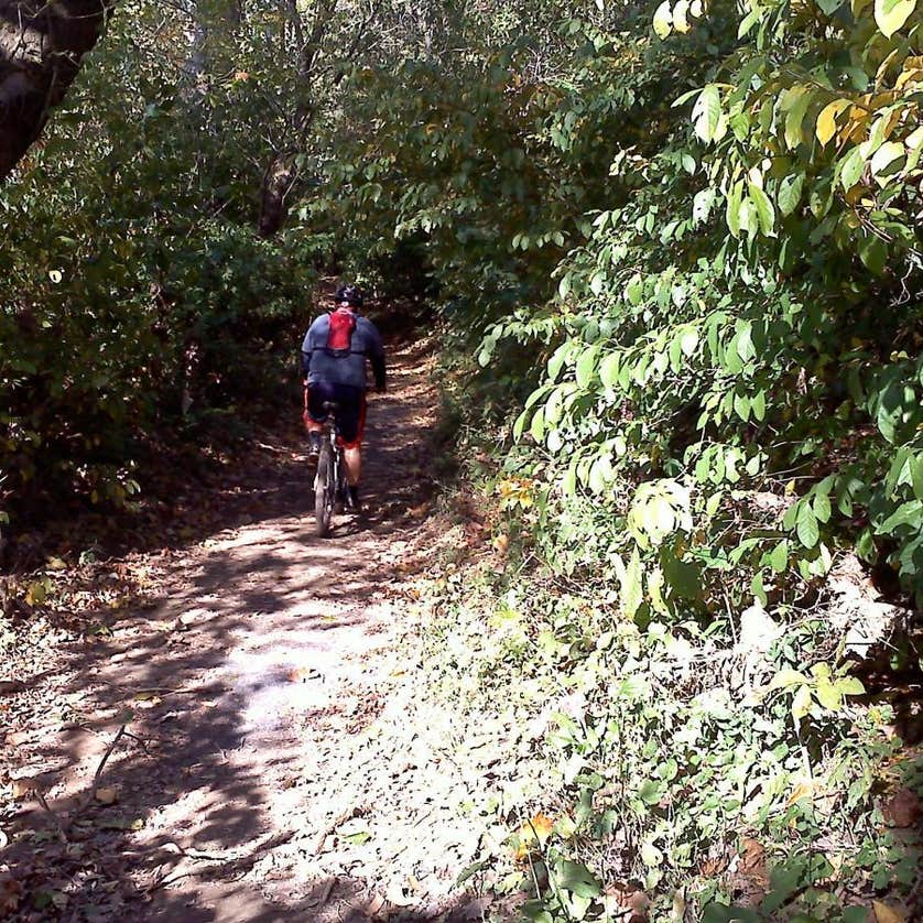 Shenandoah River State Park Camping | The Dyrt