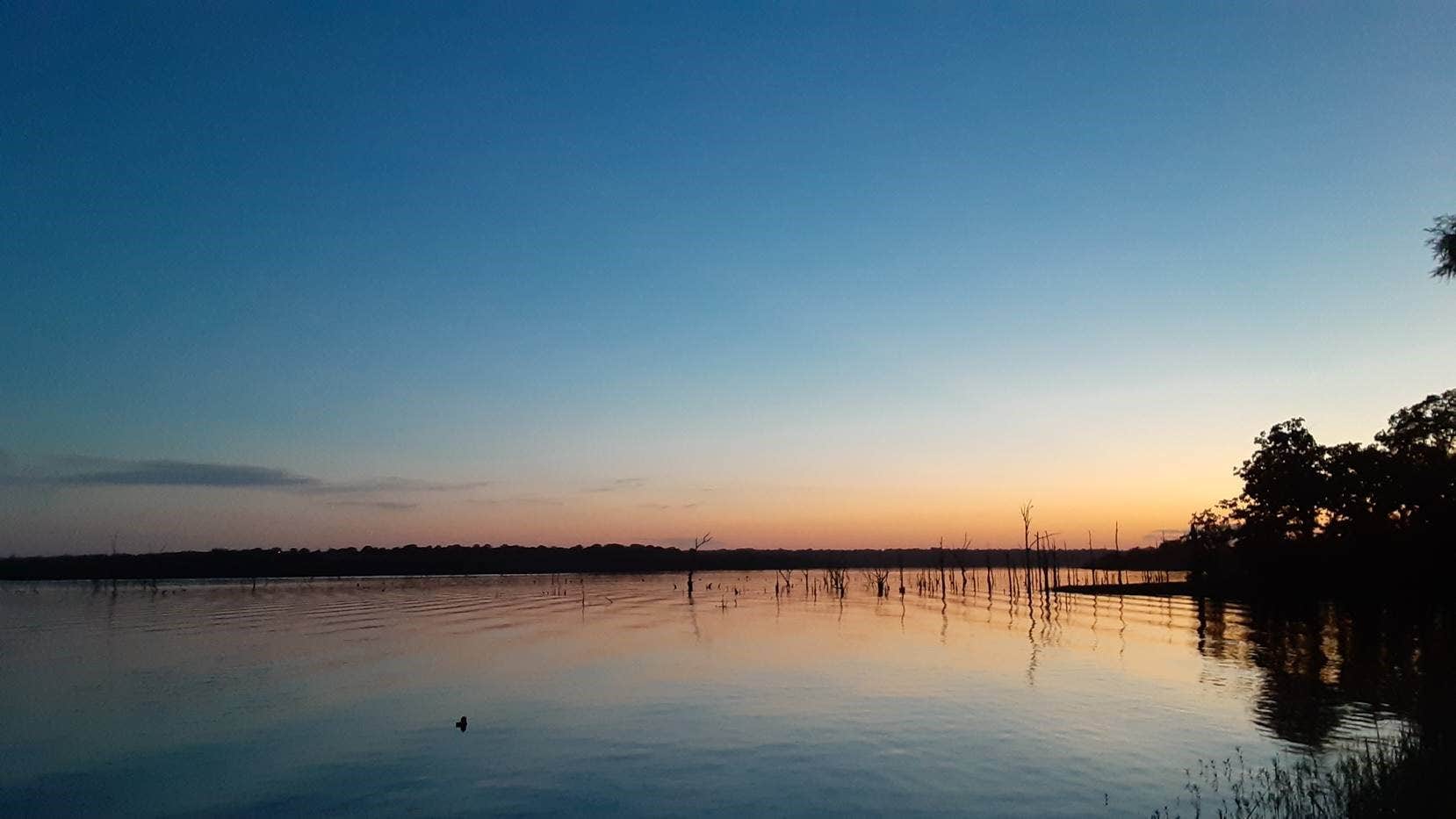 Bell Cow Lake Campground C | The Dyrt