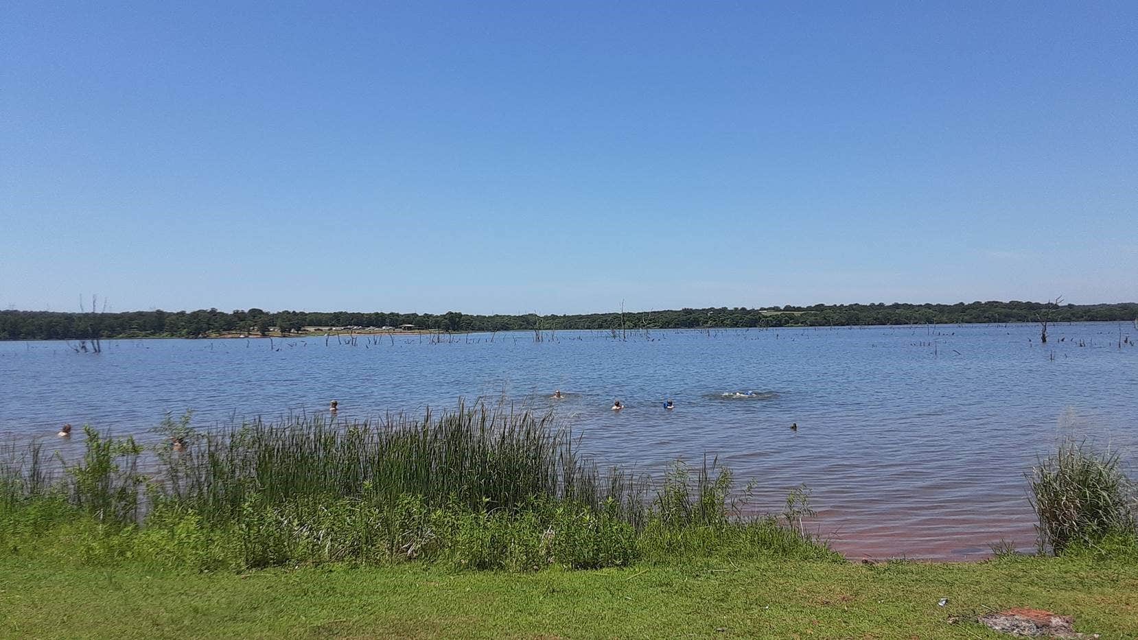 Bell Cow Lake Campground C | The Dyrt