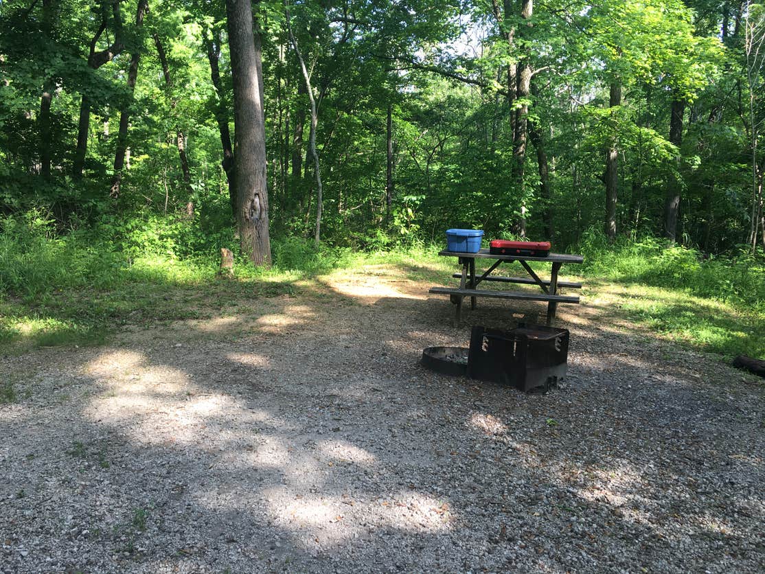 Oak Ridge Morgan-Monroe State Forest Camping | The Dyrt