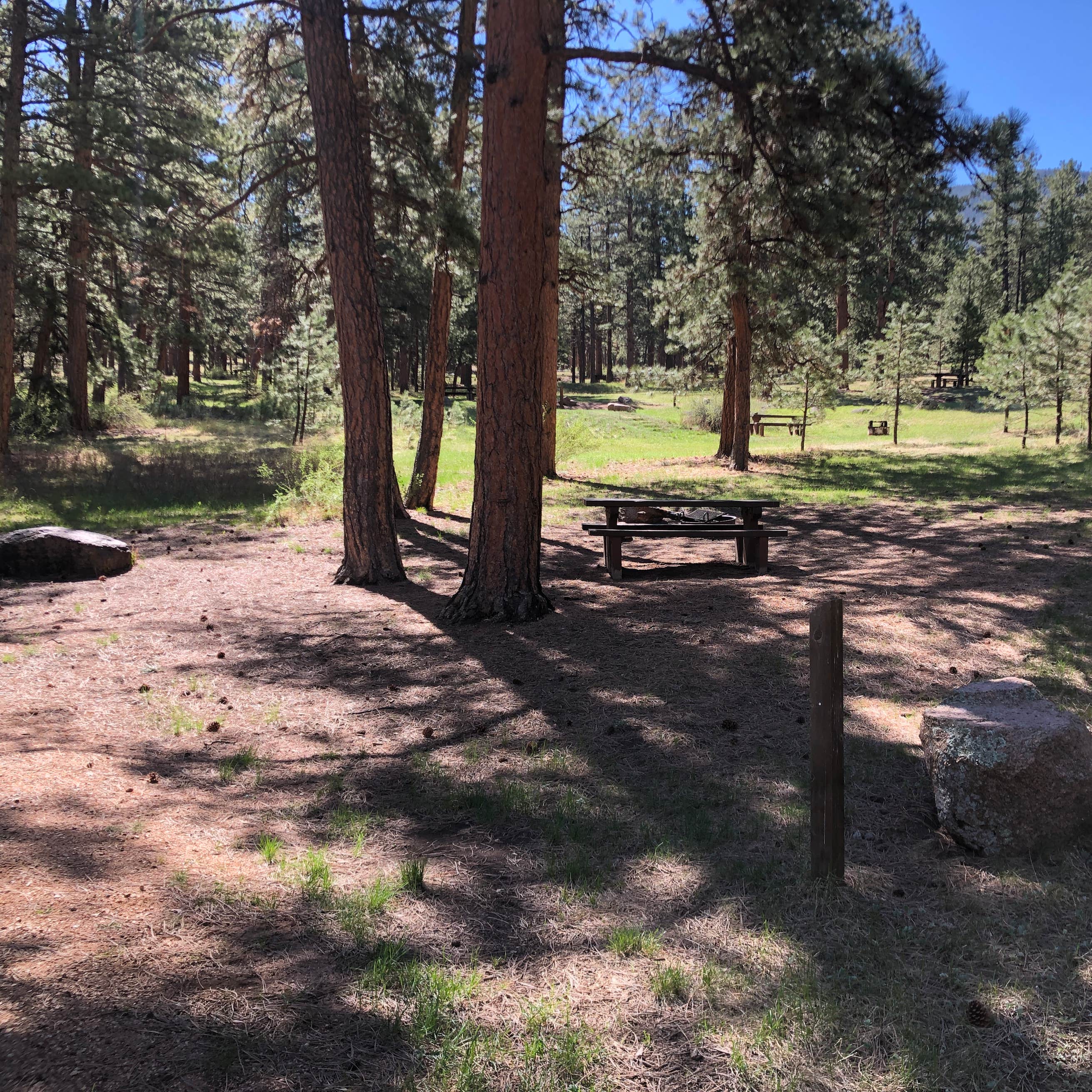 Buffalo Campground Camping | The Dyrt