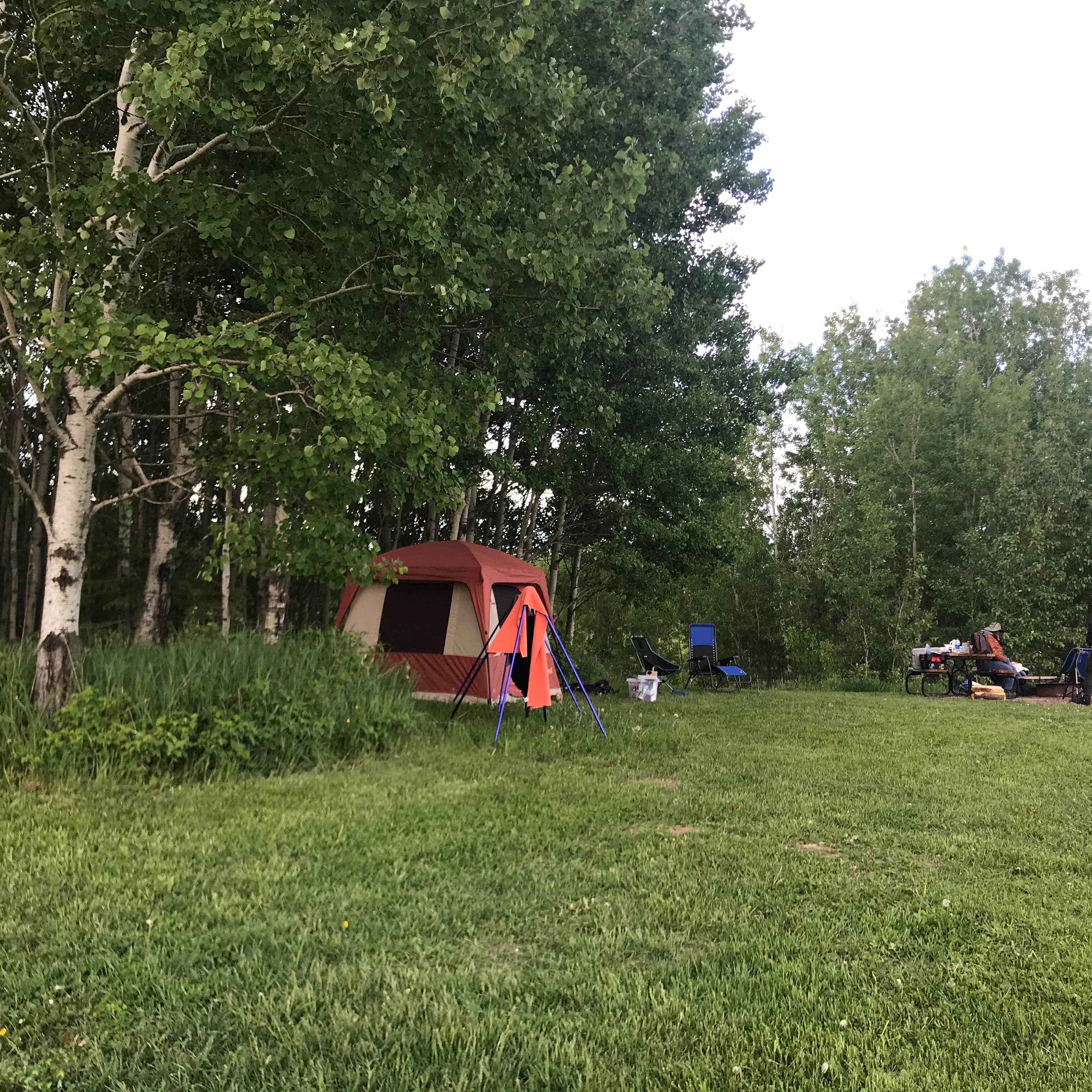 Hungry Hippie Campground Camping | The Dyrt