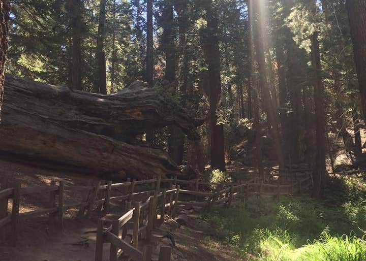 Hermit Valley Campground Camping | The Dyrt