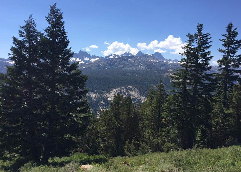 Inyo National Forest Dispersed Camping Camping | The Dyrt