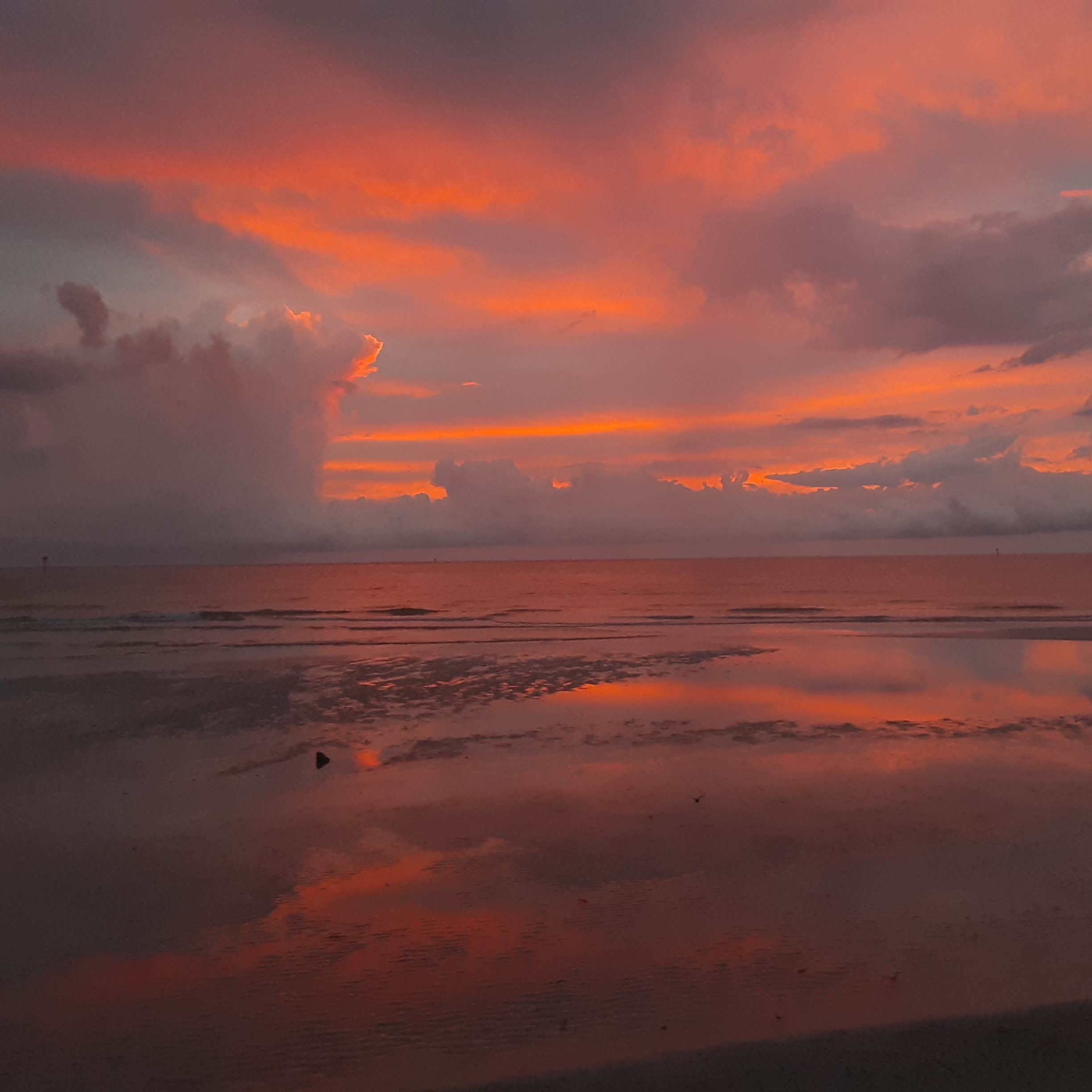 Shell Key Preserve Camping | Tierra Verde, Florida