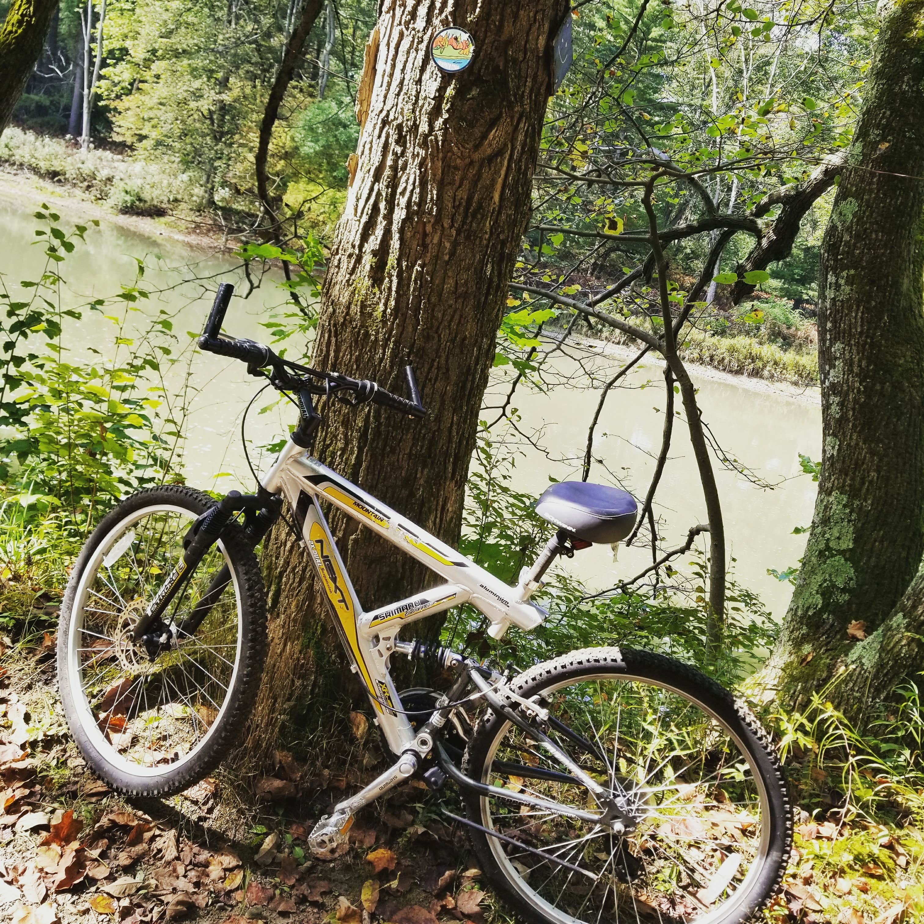 Chenango Valley State Park Campground | Chenango Forks, New York