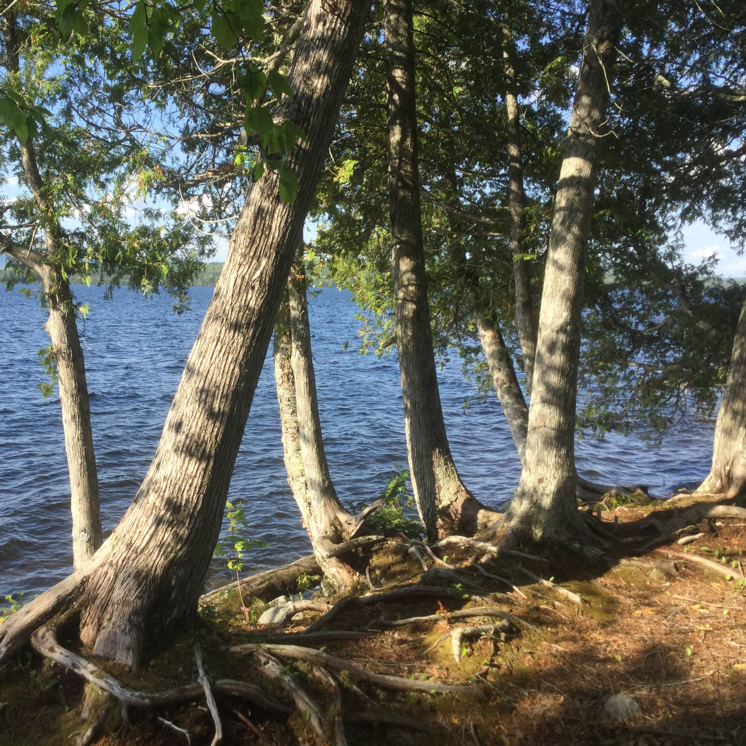 Rangeley Lake State Park Campground | Rangeley, ME
