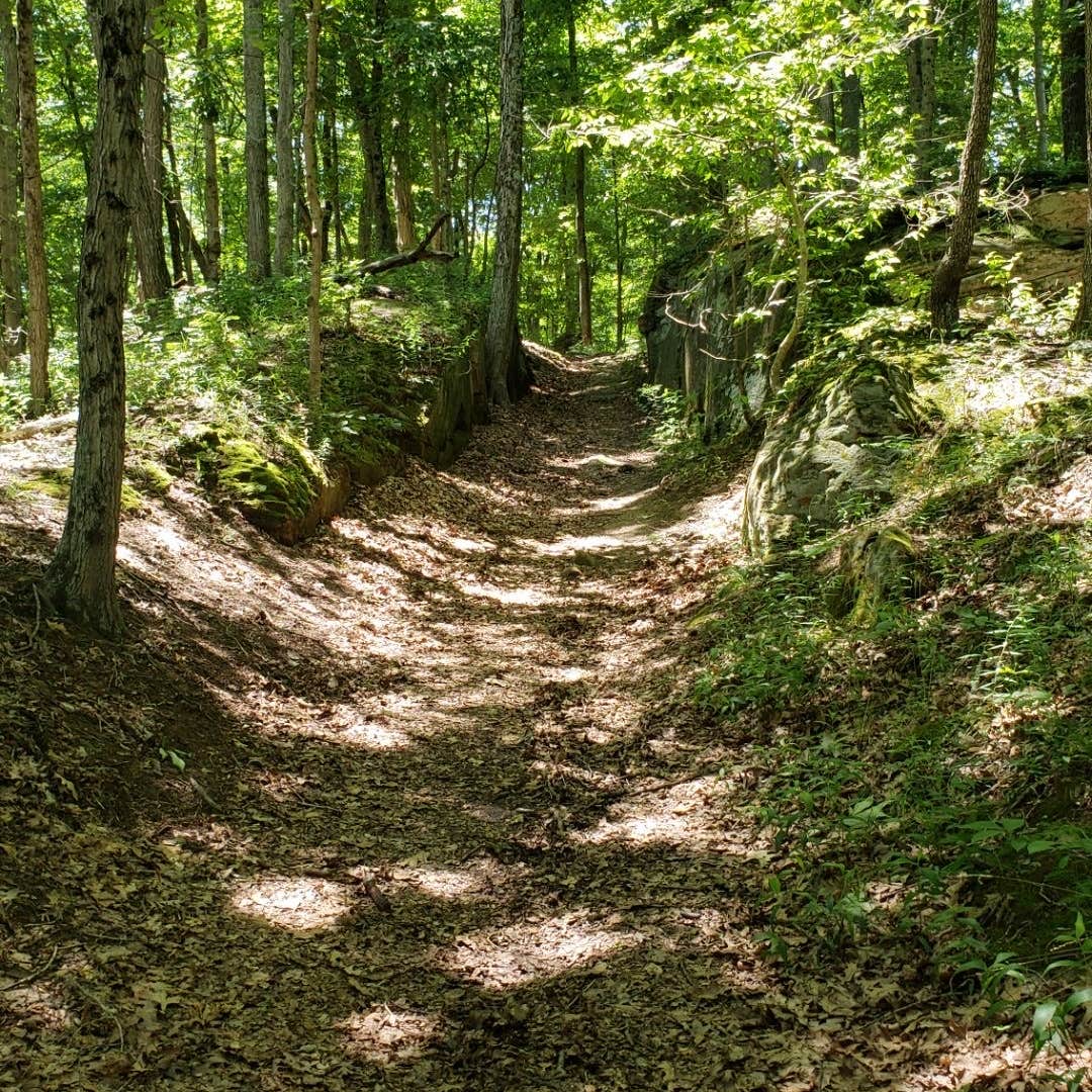 Patoka Lake Campground Camping | The Dyrt