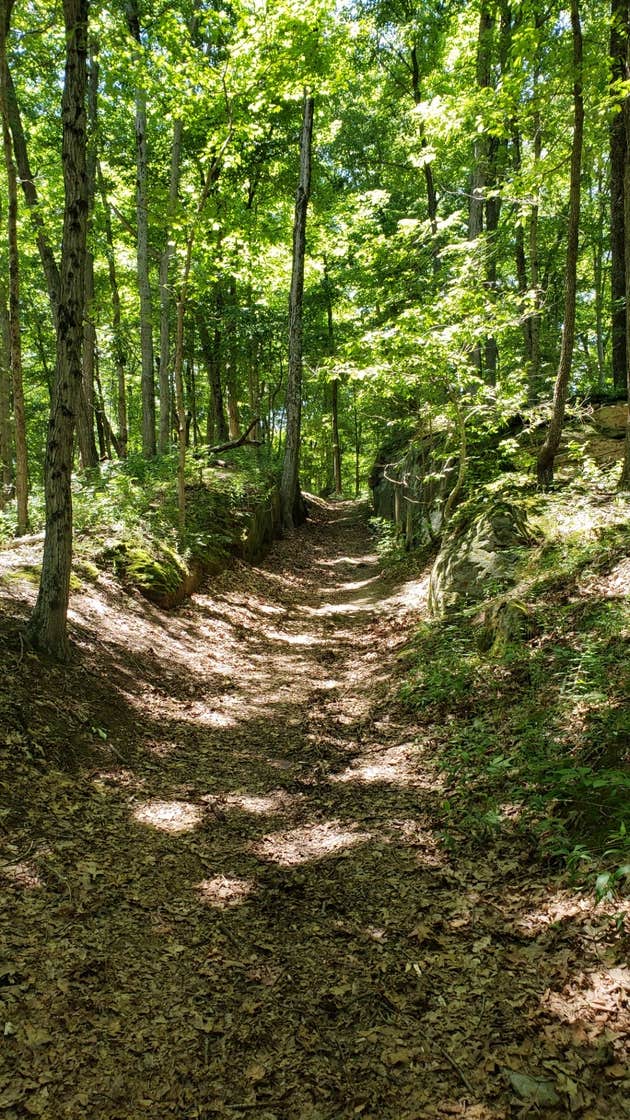 Patoka Lake Campground Camping | The Dyrt