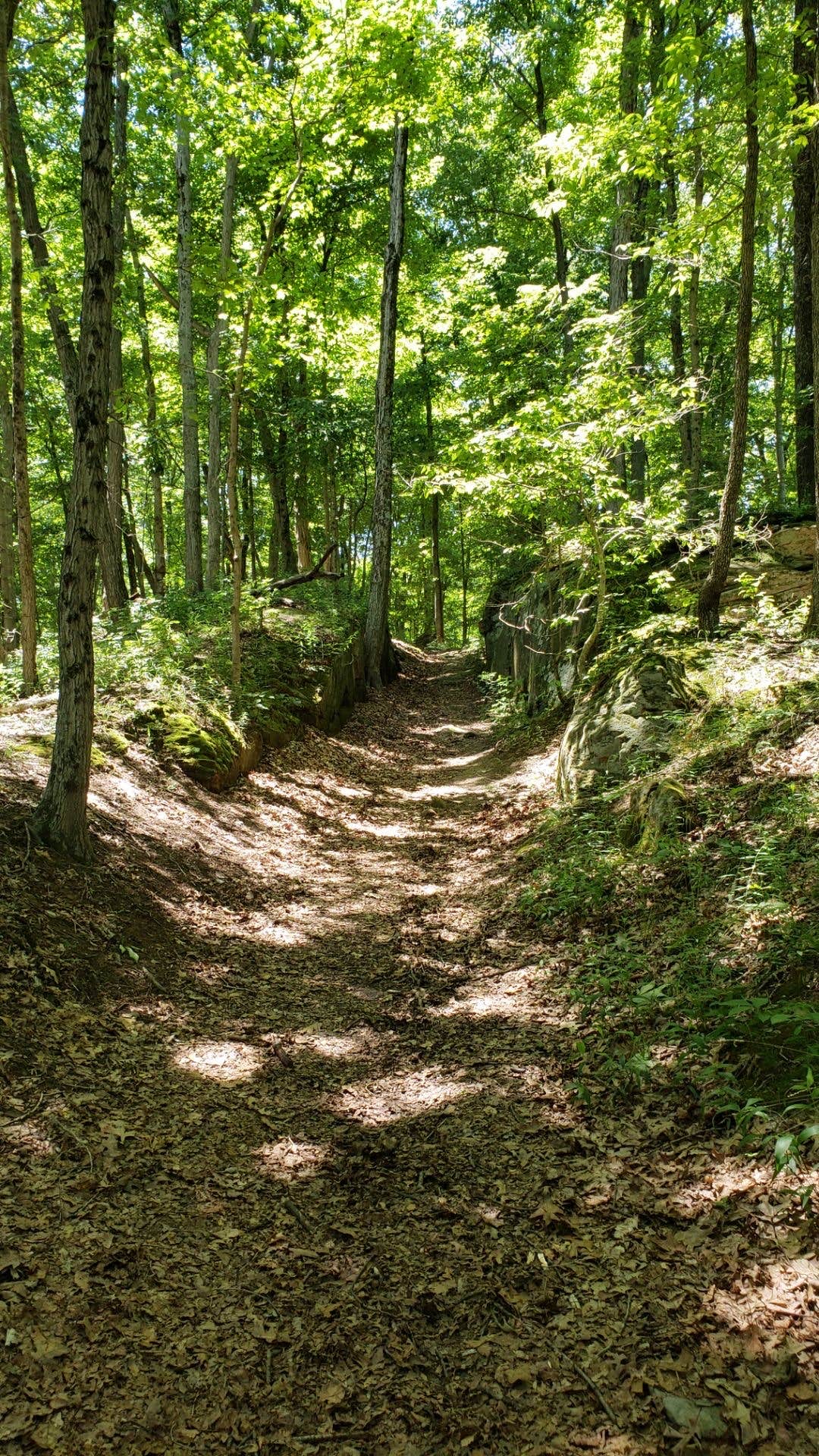 Patoka Lake Campground | Birdseye, Indiana