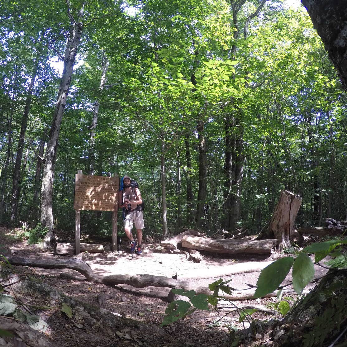 Seth Warner Shelter Camping | Clarksburg, Massachusetts