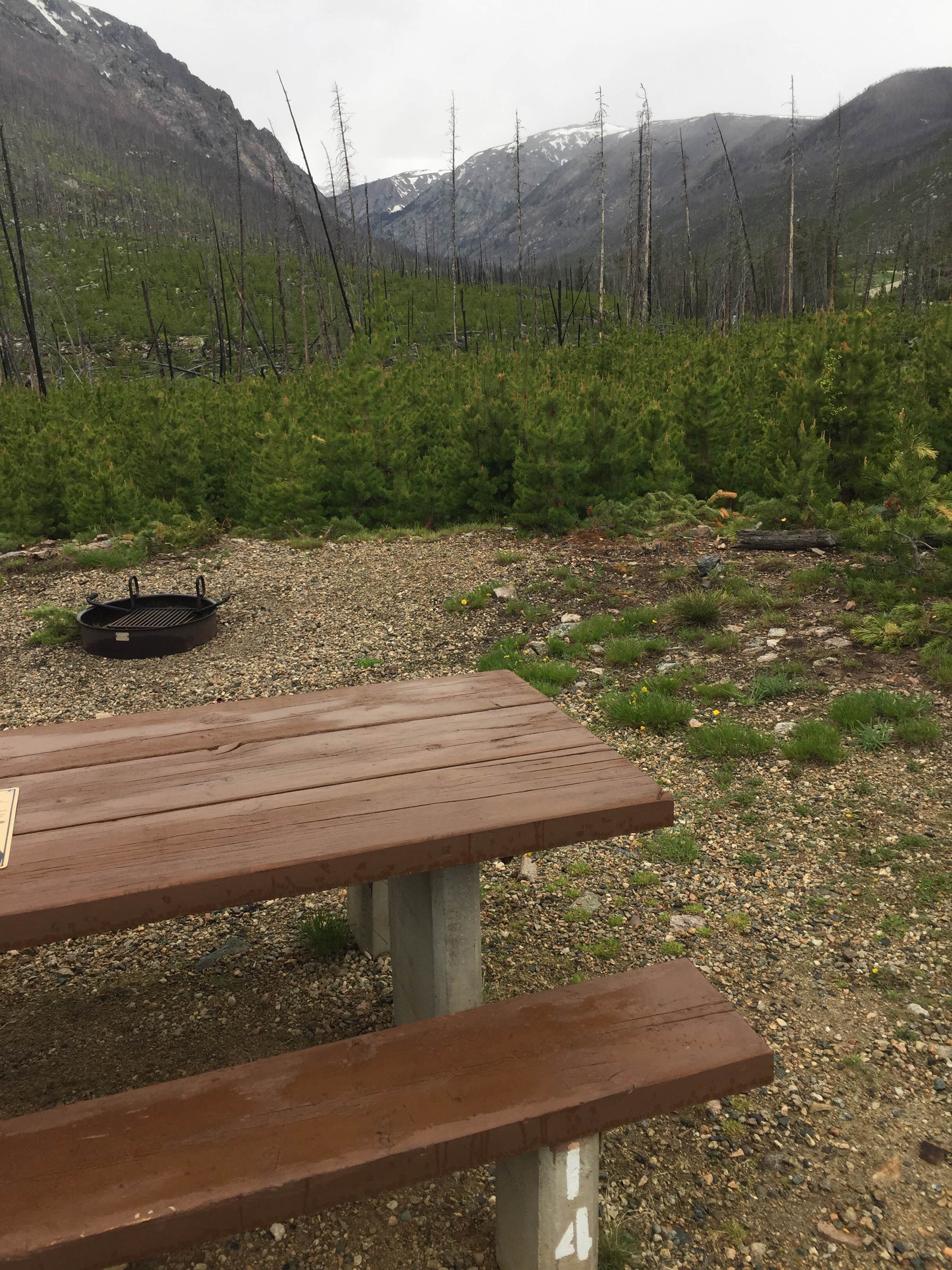 Cascade Campground-Custer National Forest Camping | The Dyrt