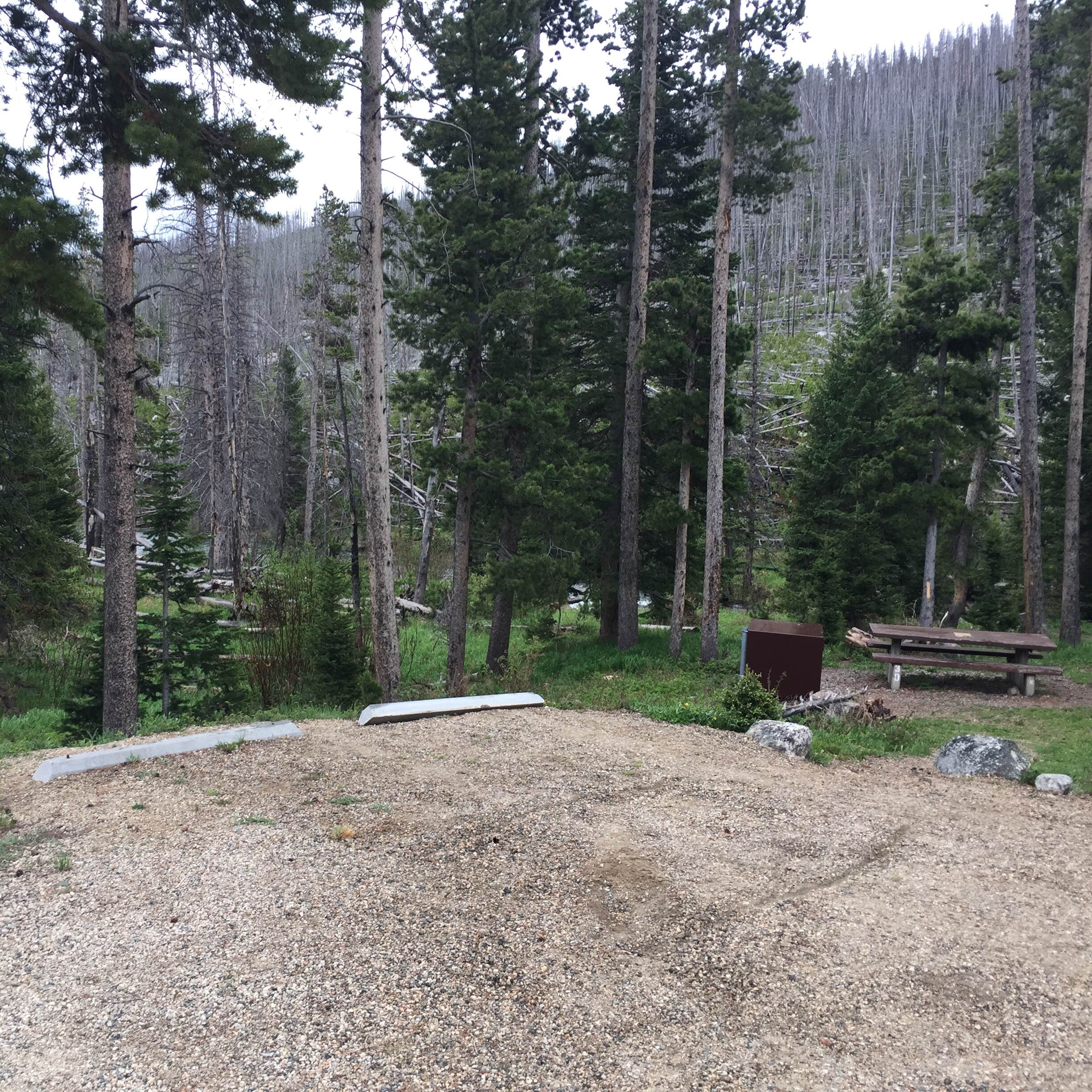 Cascade Campground-Custer National Forest Camping | The Dyrt