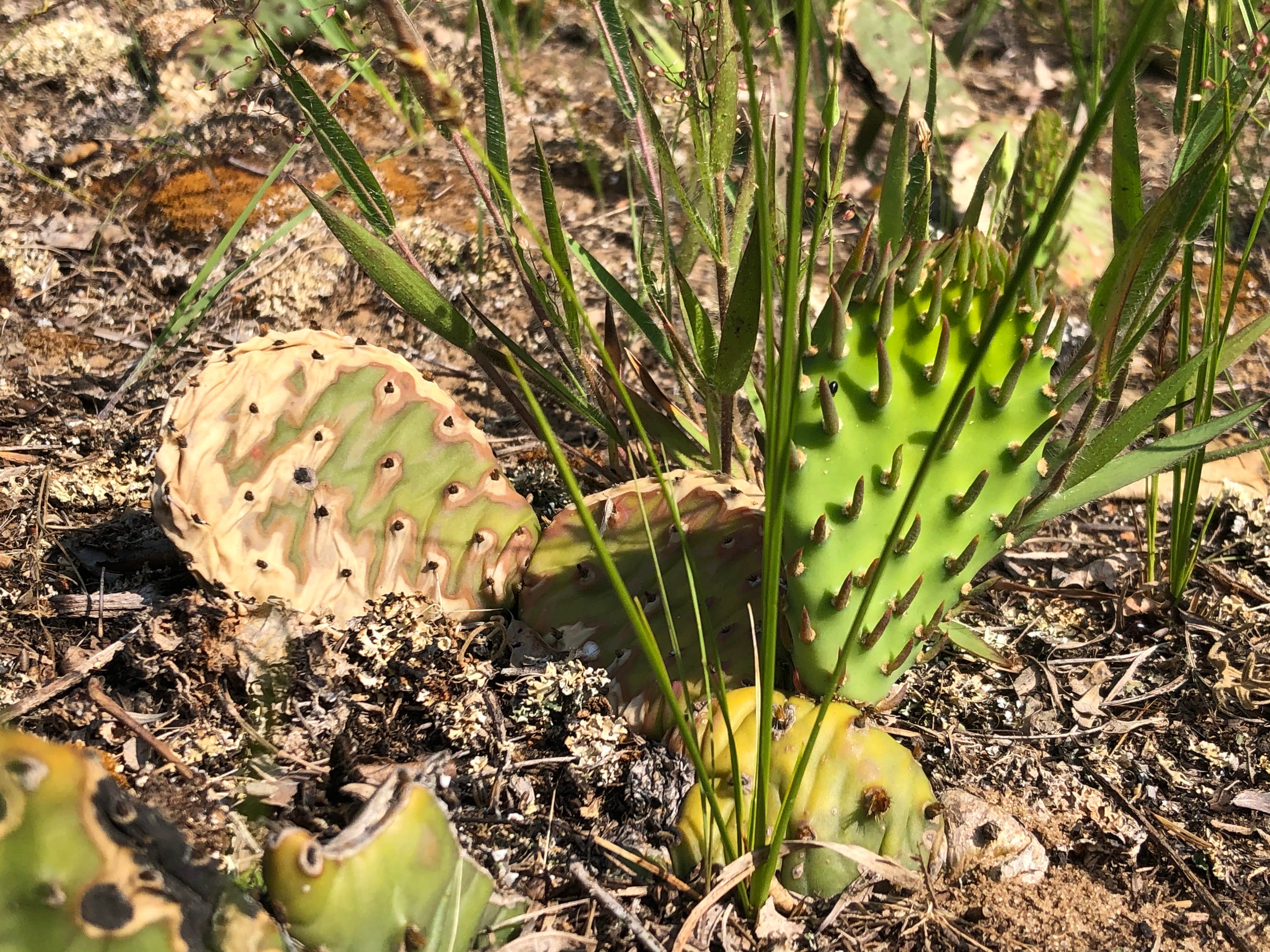 THE 10+ BEST Campgrounds near Spring Green, WI