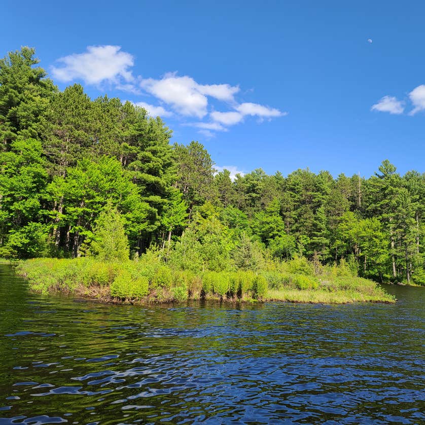 Lake Chippewa Campground Camping | The Dyrt