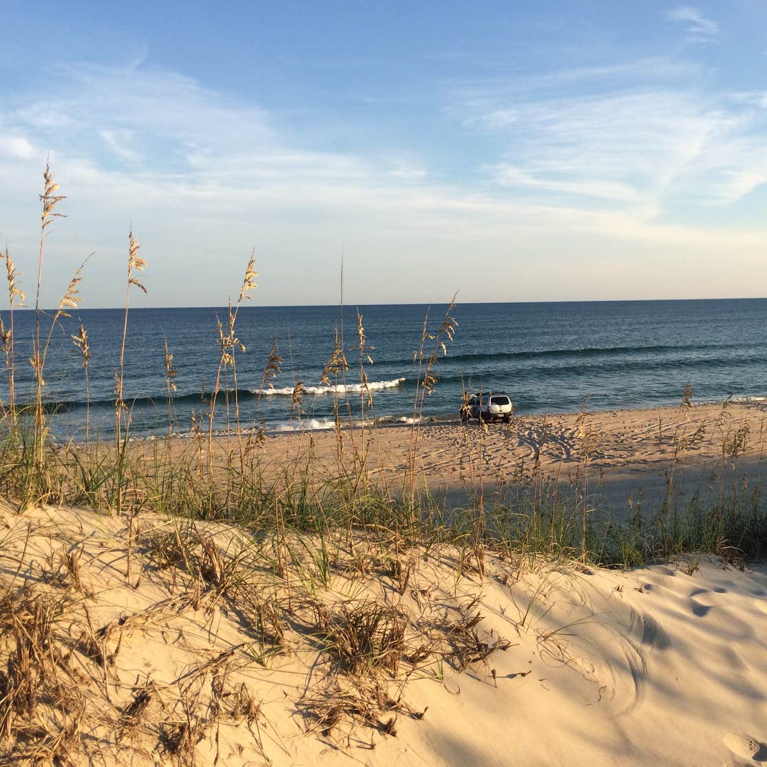 Frisco Campground - Cape Hatteras Camping | The Dyrt