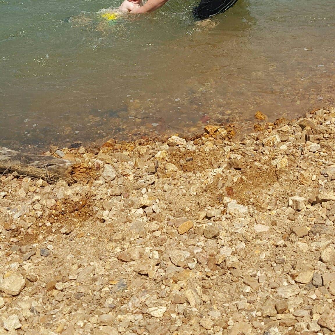 Castor River Campground Camping | The Dyrt