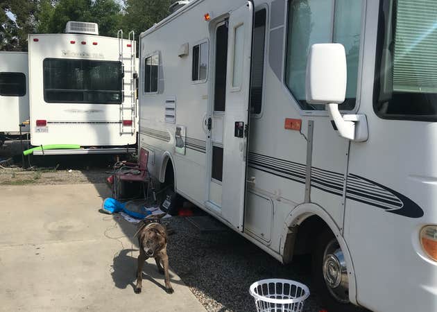 Circle RV Resort Camping | The Dyrt