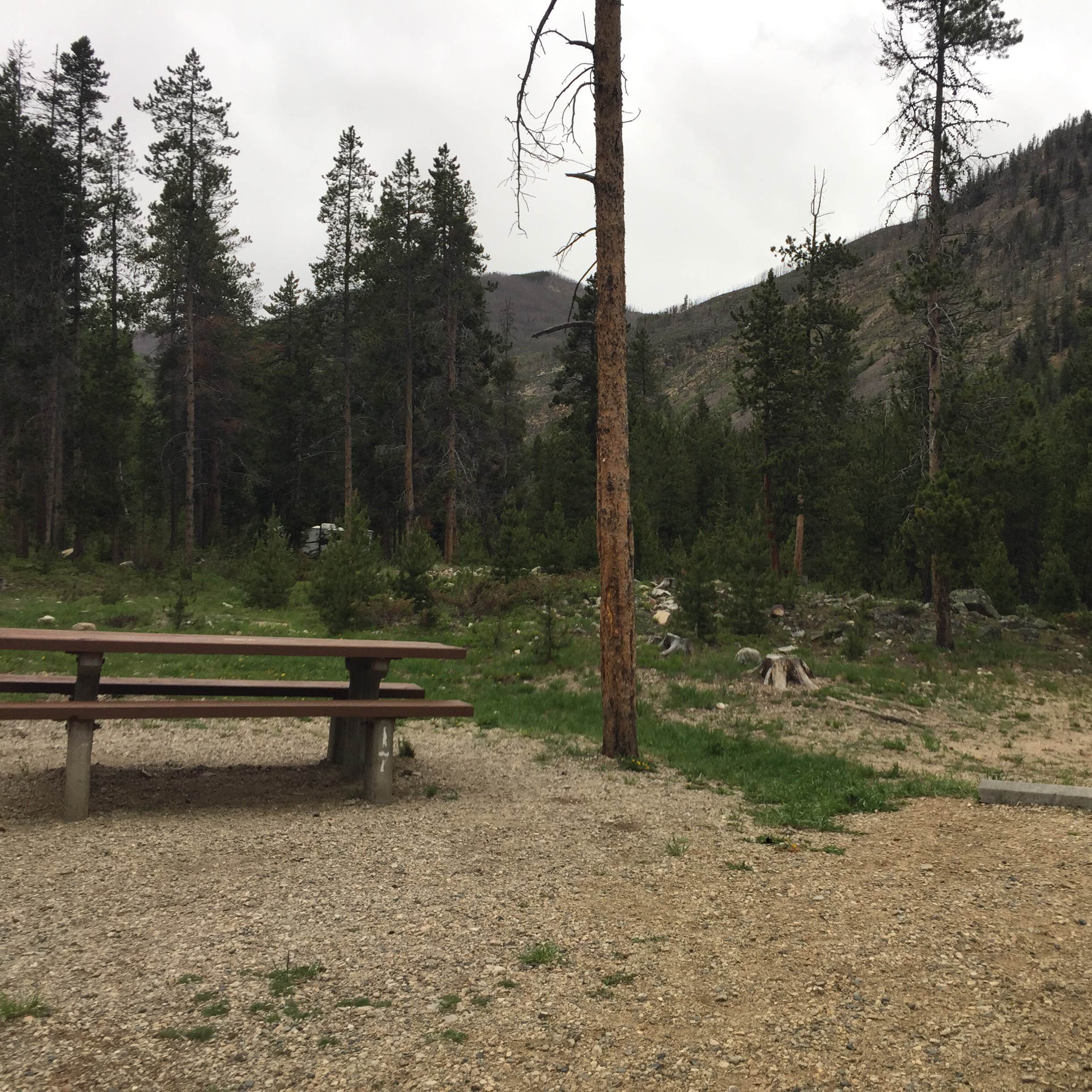 Basin Campground | Red Lodge, Montana