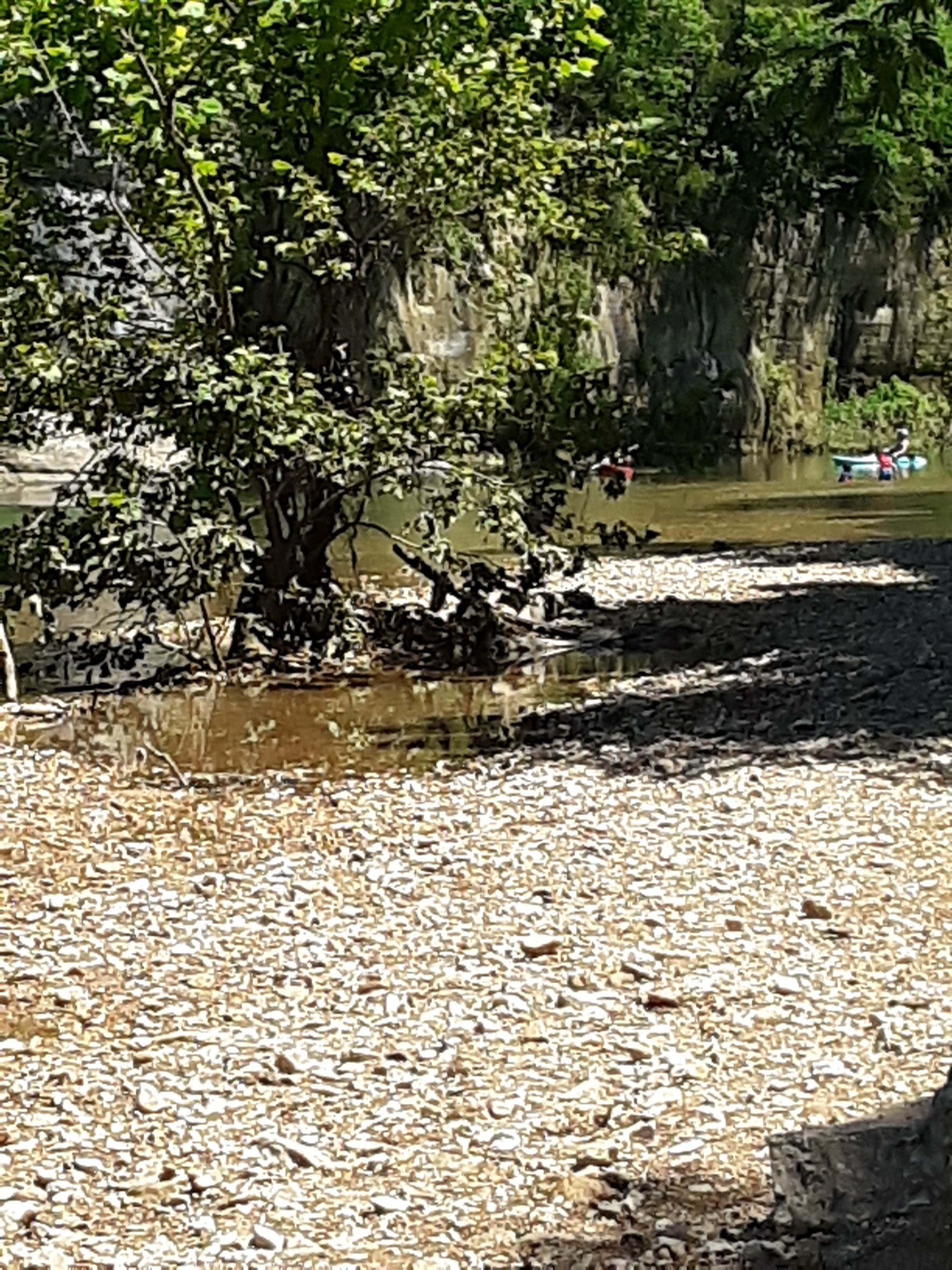 Anglers White River Resort Camping | Mountain VIew, AR