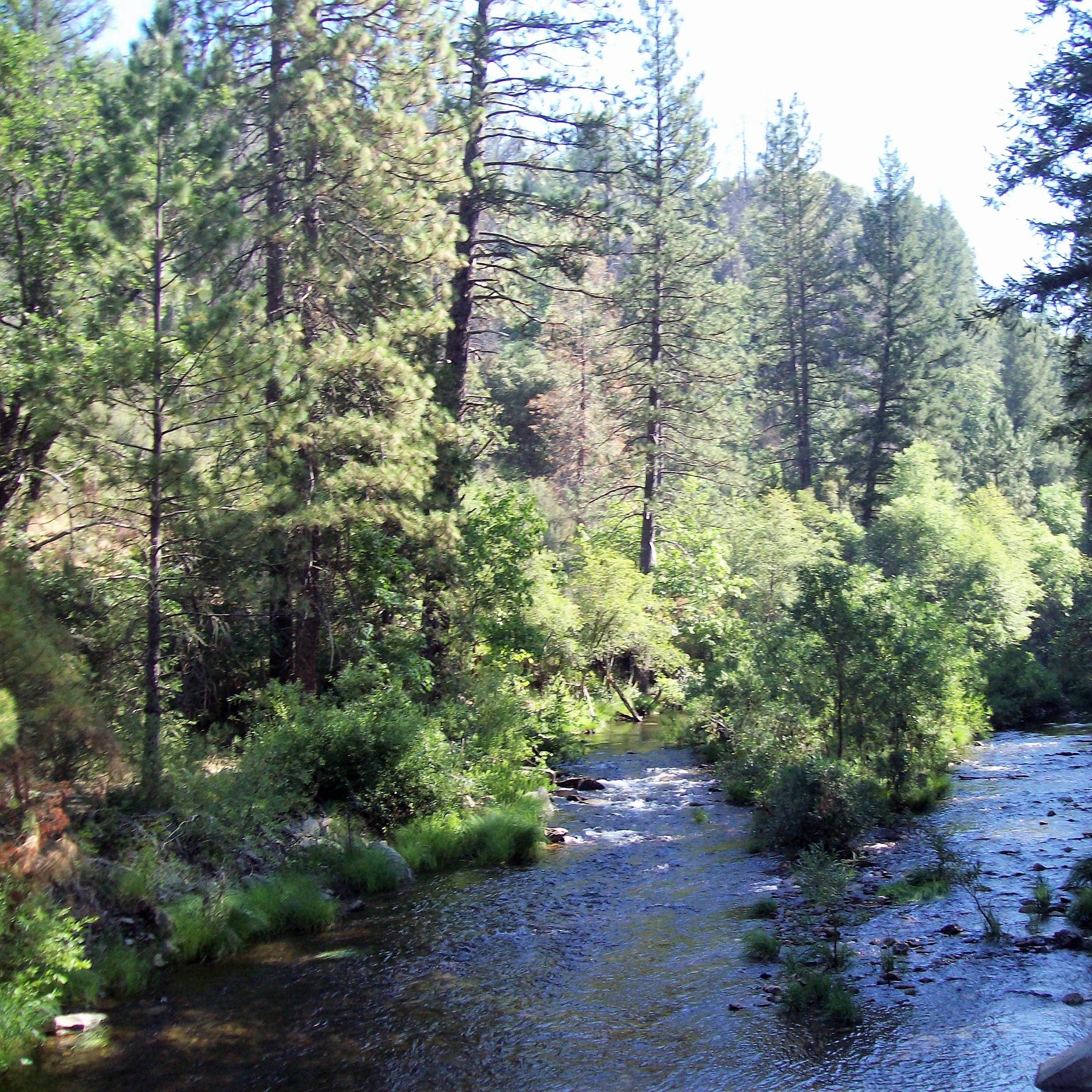 Thousand Trails Yosemite Lakes Camping | The Dyrt